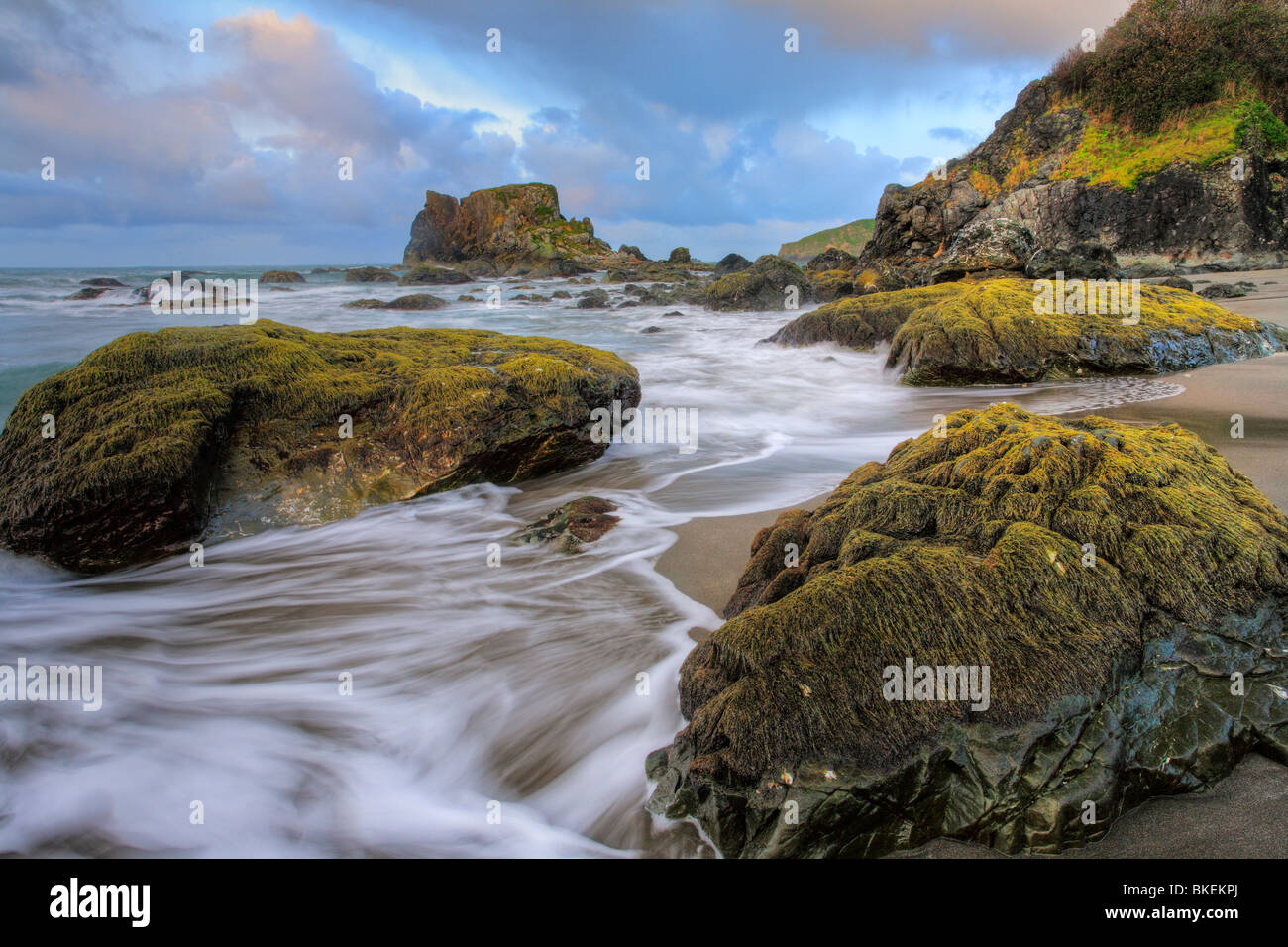 Harris beach state park hi-res stock photography and images - Alamy