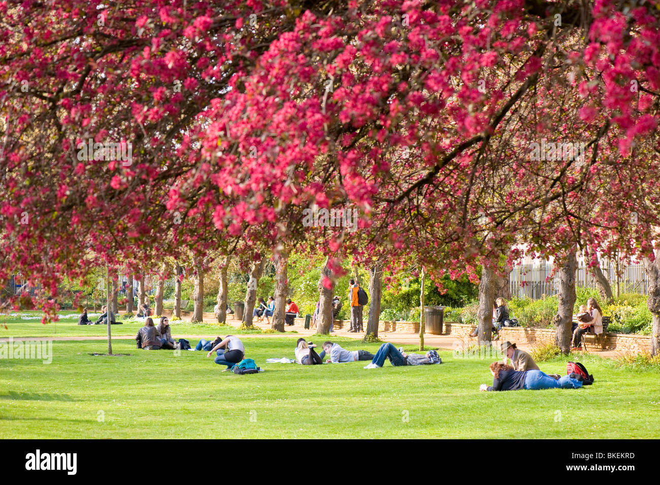 People resting on warm spring day in Gordon Square Garden, London ...