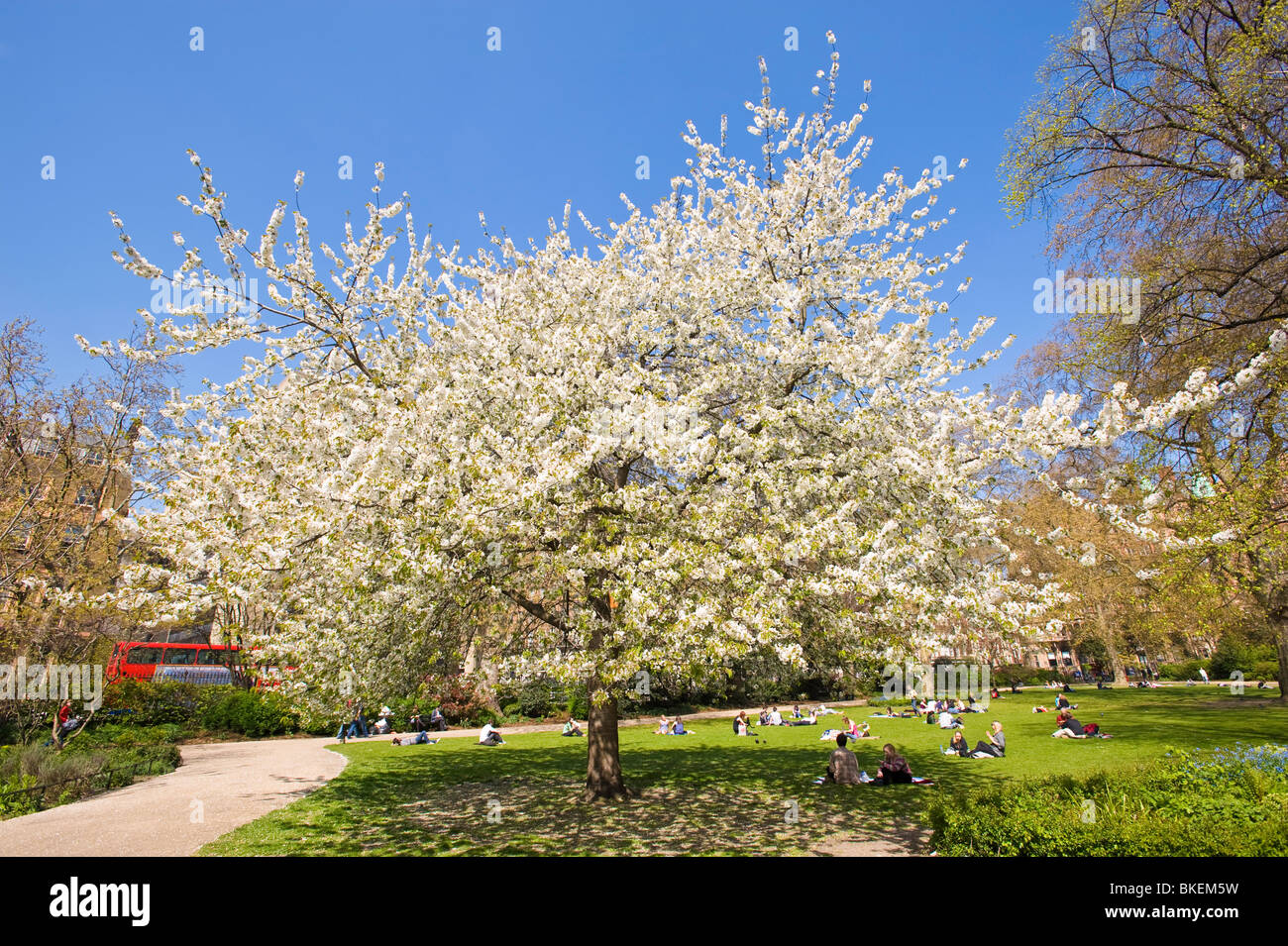 Russell square london spring hi-res stock photography and images - Alamy