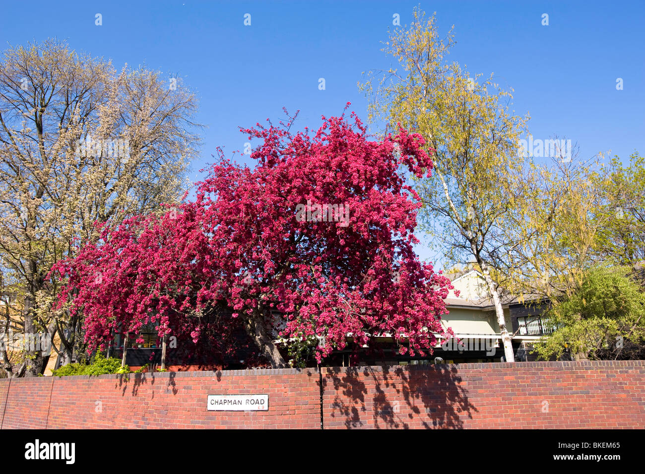 Spring in Hackney, London, United Kingdom Stock Photo - Alamy