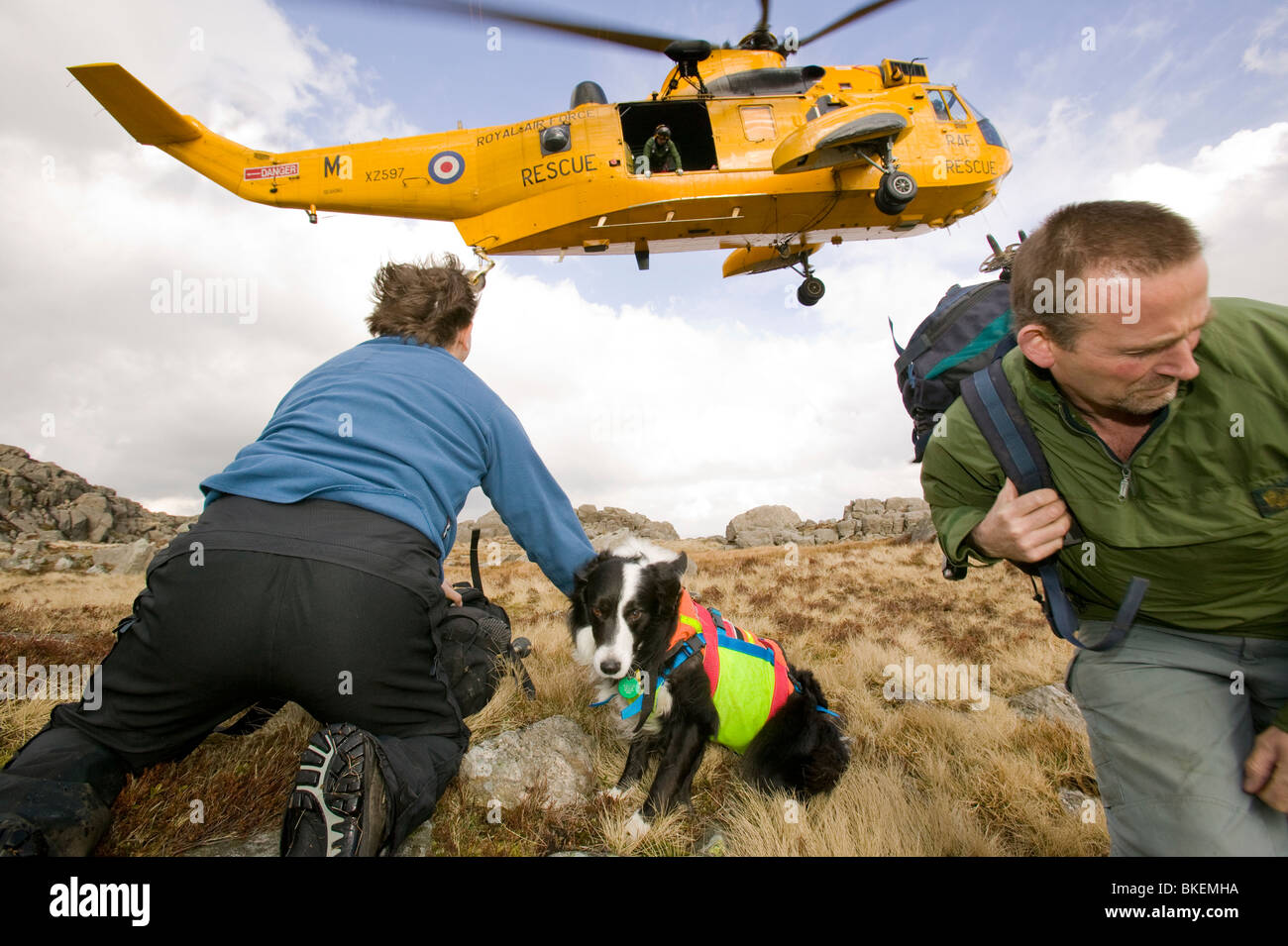 Mountain rescue team members and search dog handler with dog are ...
