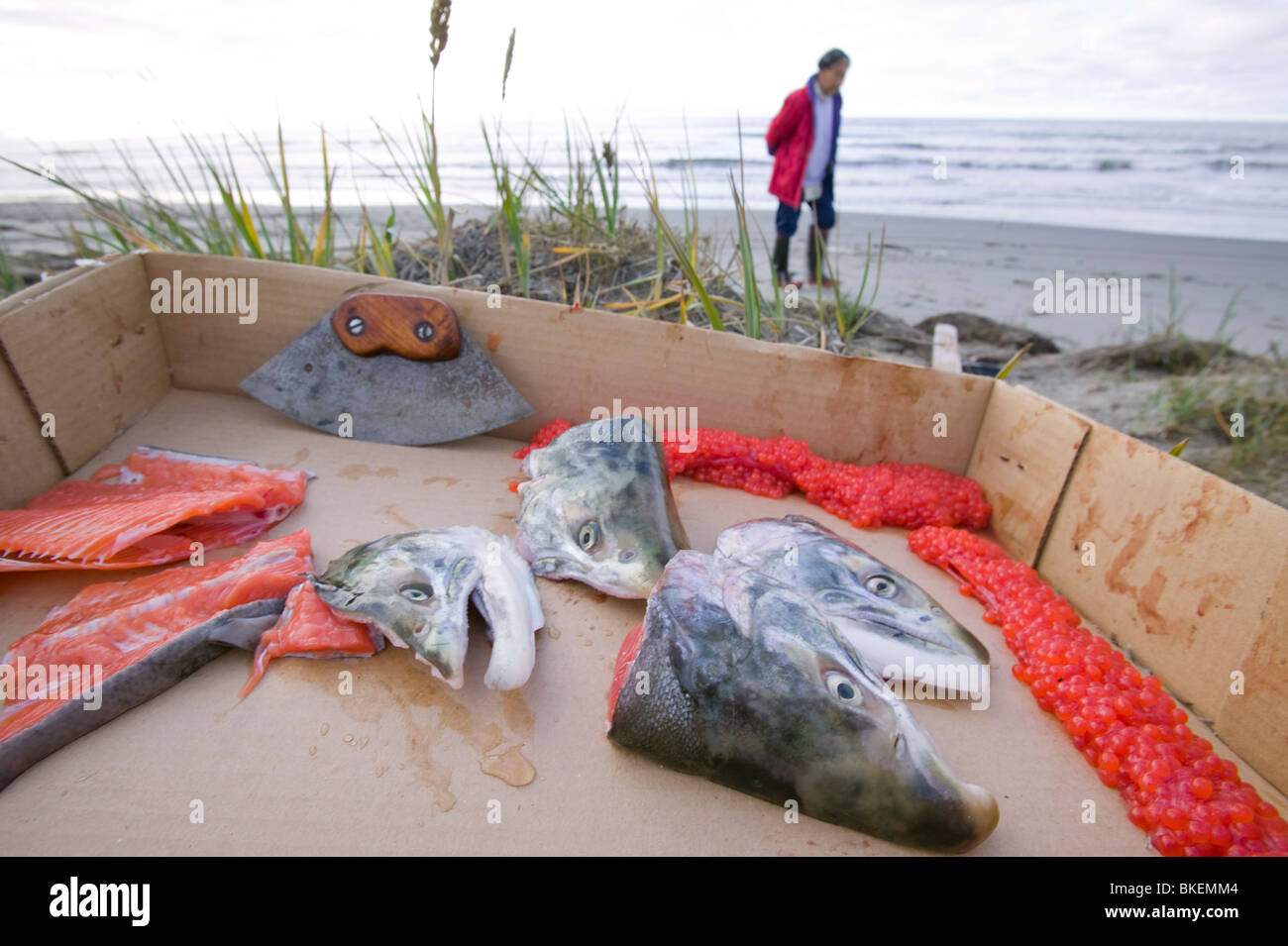 Shishmaref, alaska hi-res stock photography and images - Alamy