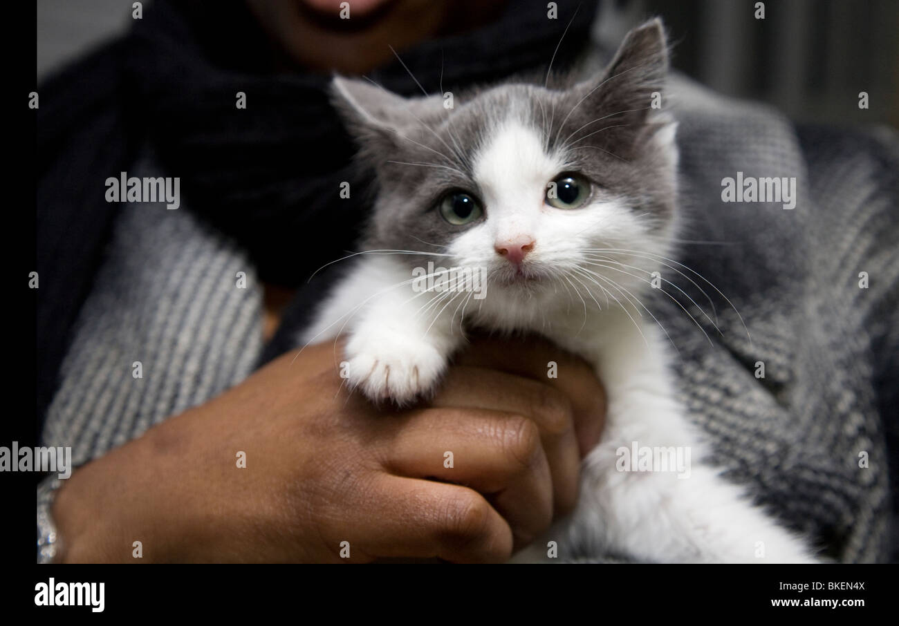 Mayhew animal home hi-res stock photography and images - Alamy
