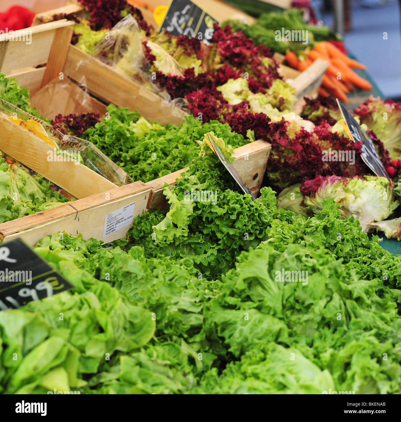 Crunchy green salad mix hi-res stock photography and images - Alamy
