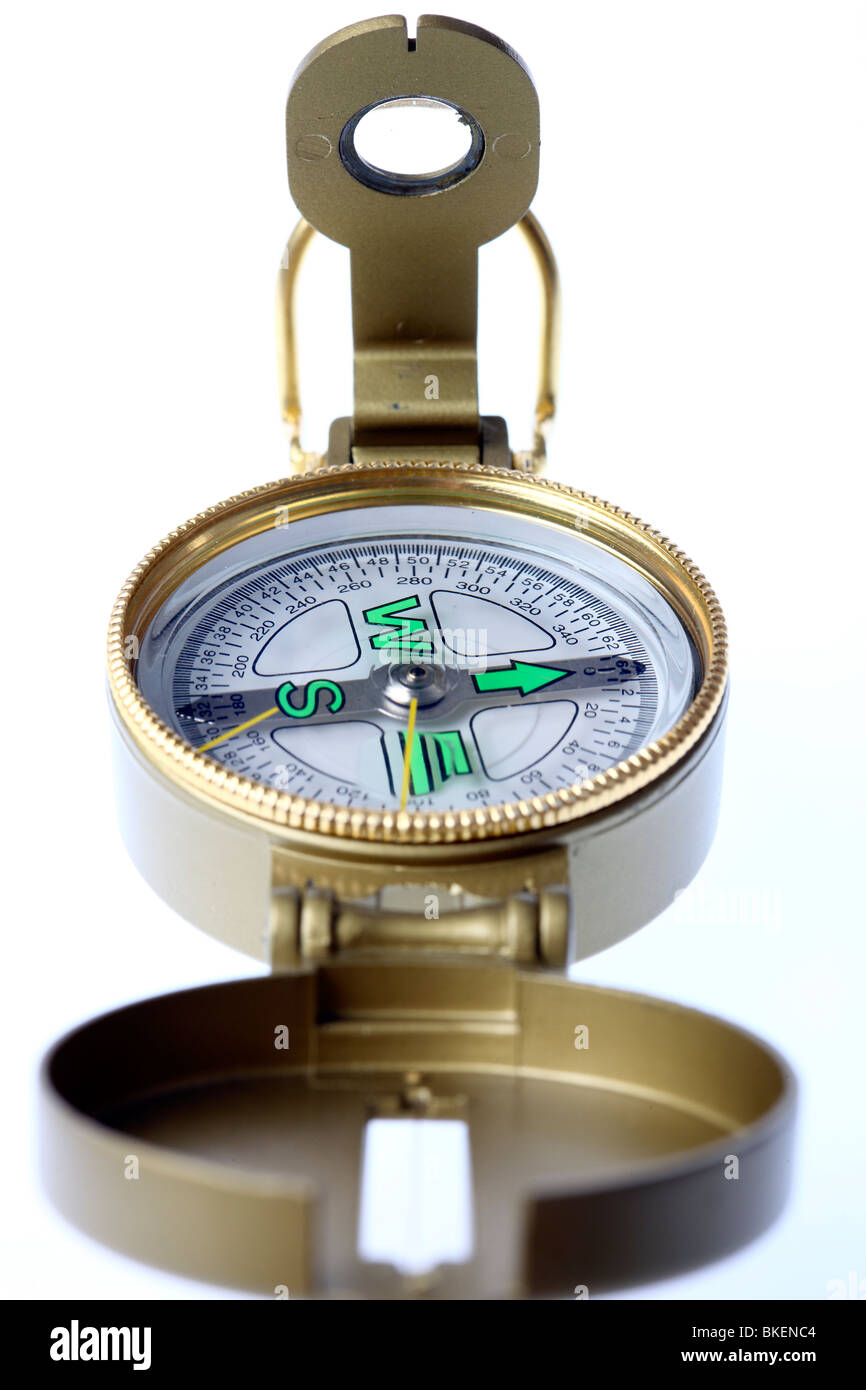 compass, lunatic compass, you can read over the cross hairs and the ...