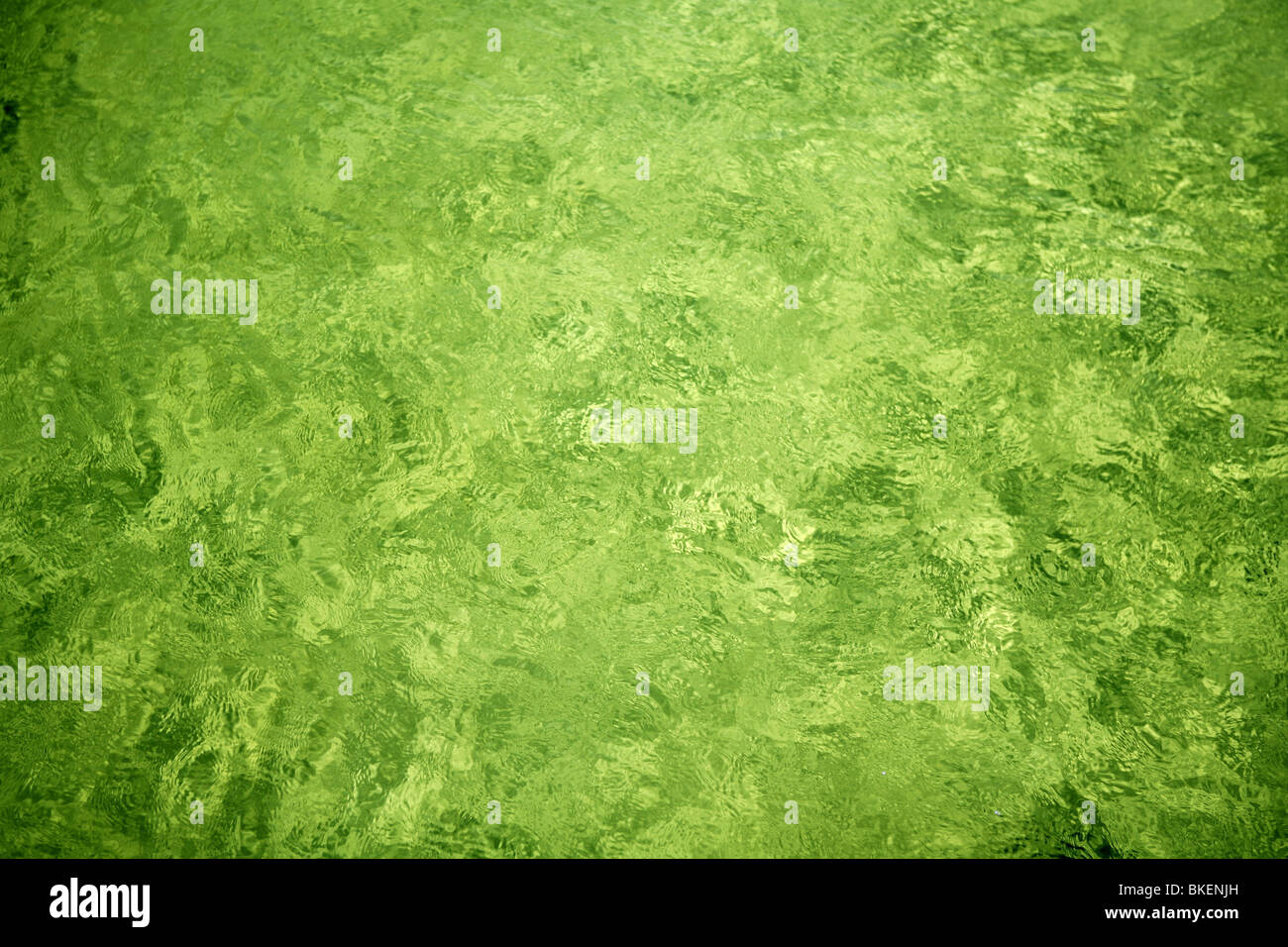 Green lake river water texture background wavy surface Stock Photo - Alamy