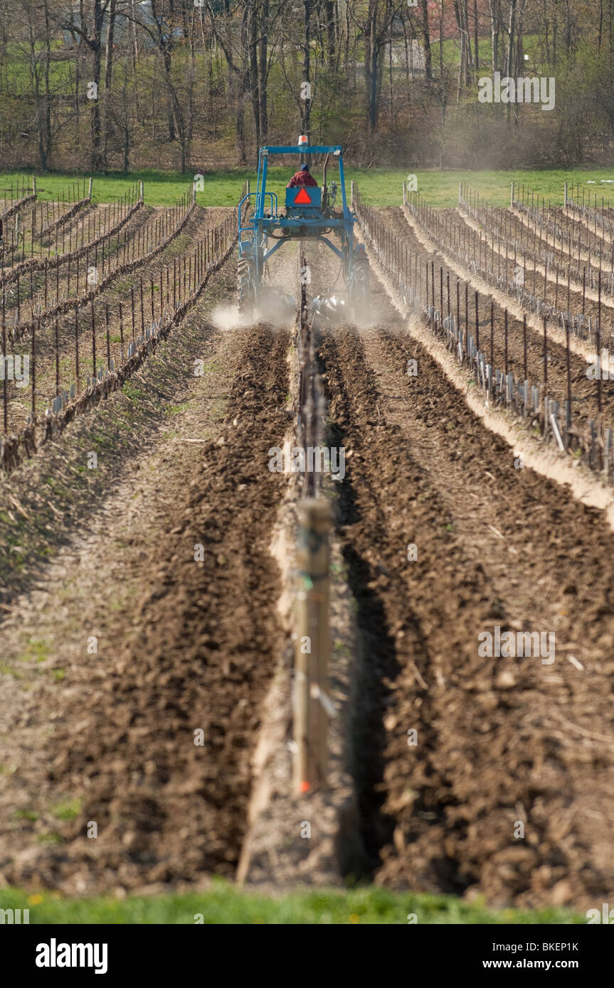 Farmer cultivates soil around grape hi-res stock photography and images ...