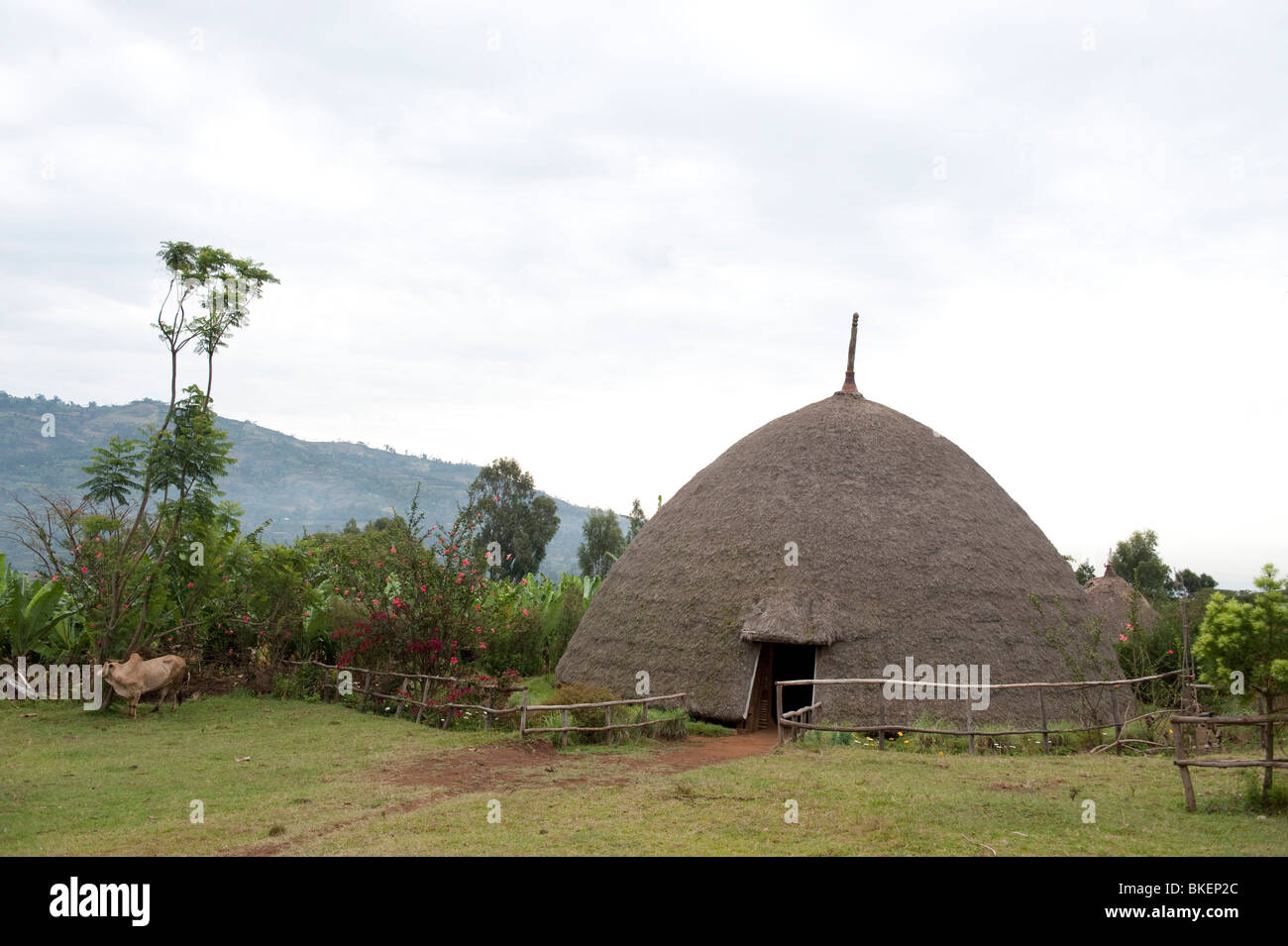 Traditional hut in southern Ethiopia Stock Photo - Alamy