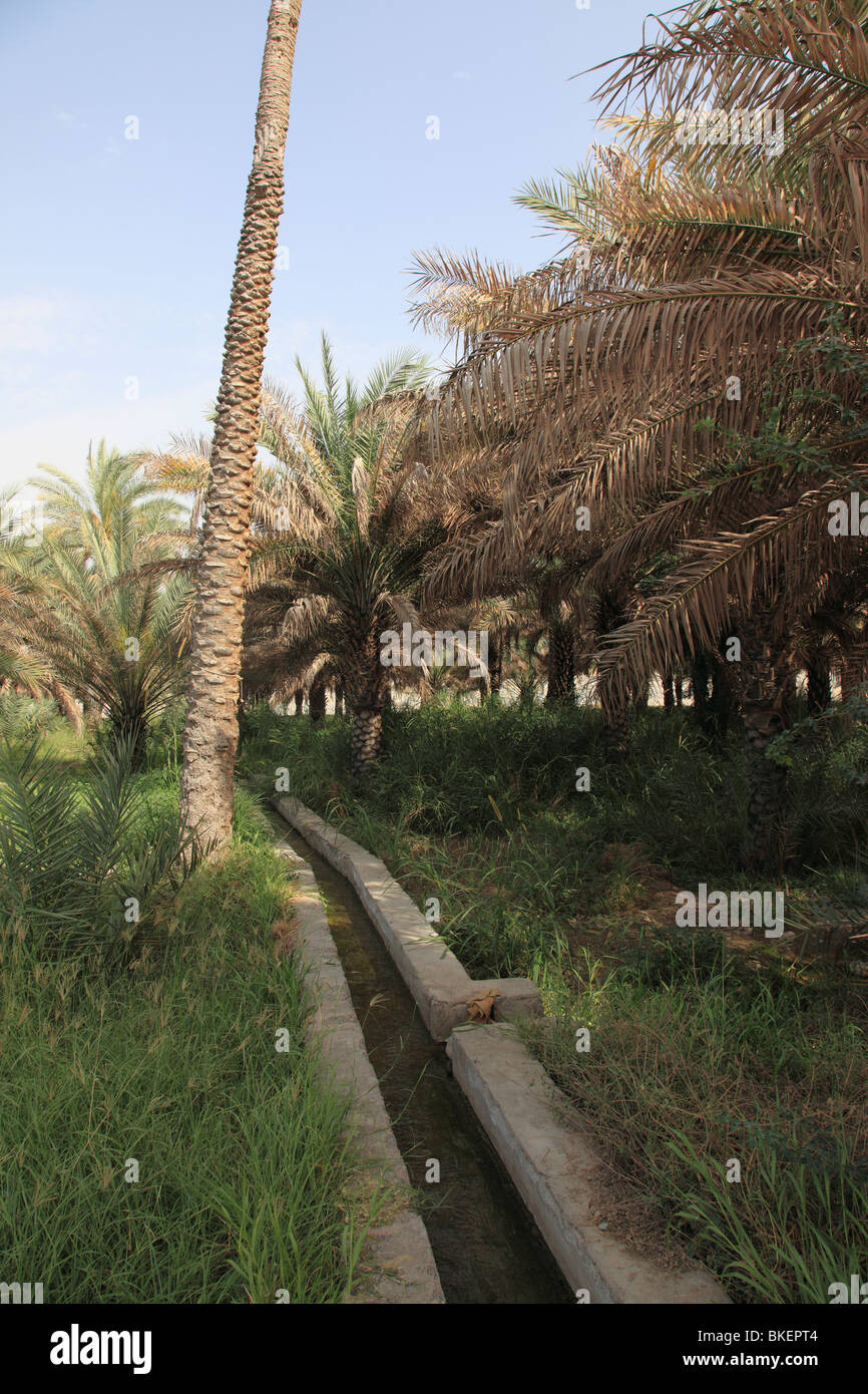 Traditional omani falaj water irrigation hi-res stock photography and ...