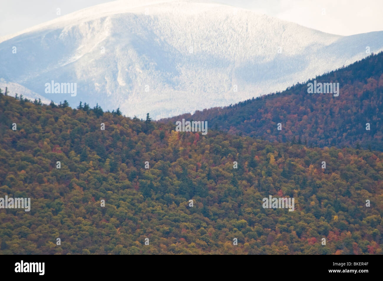 Bartlett nh hi-res stock photography and images - Alamy