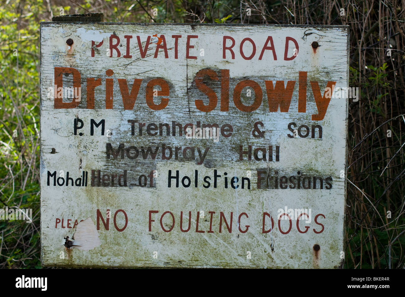 Hackfall woods hi-res stock photography and images - Alamy