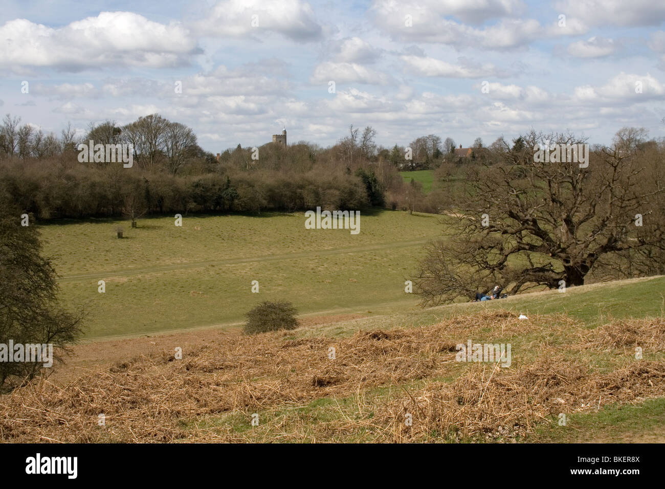Knole Park, Kent, England Stock Photo - Alamy