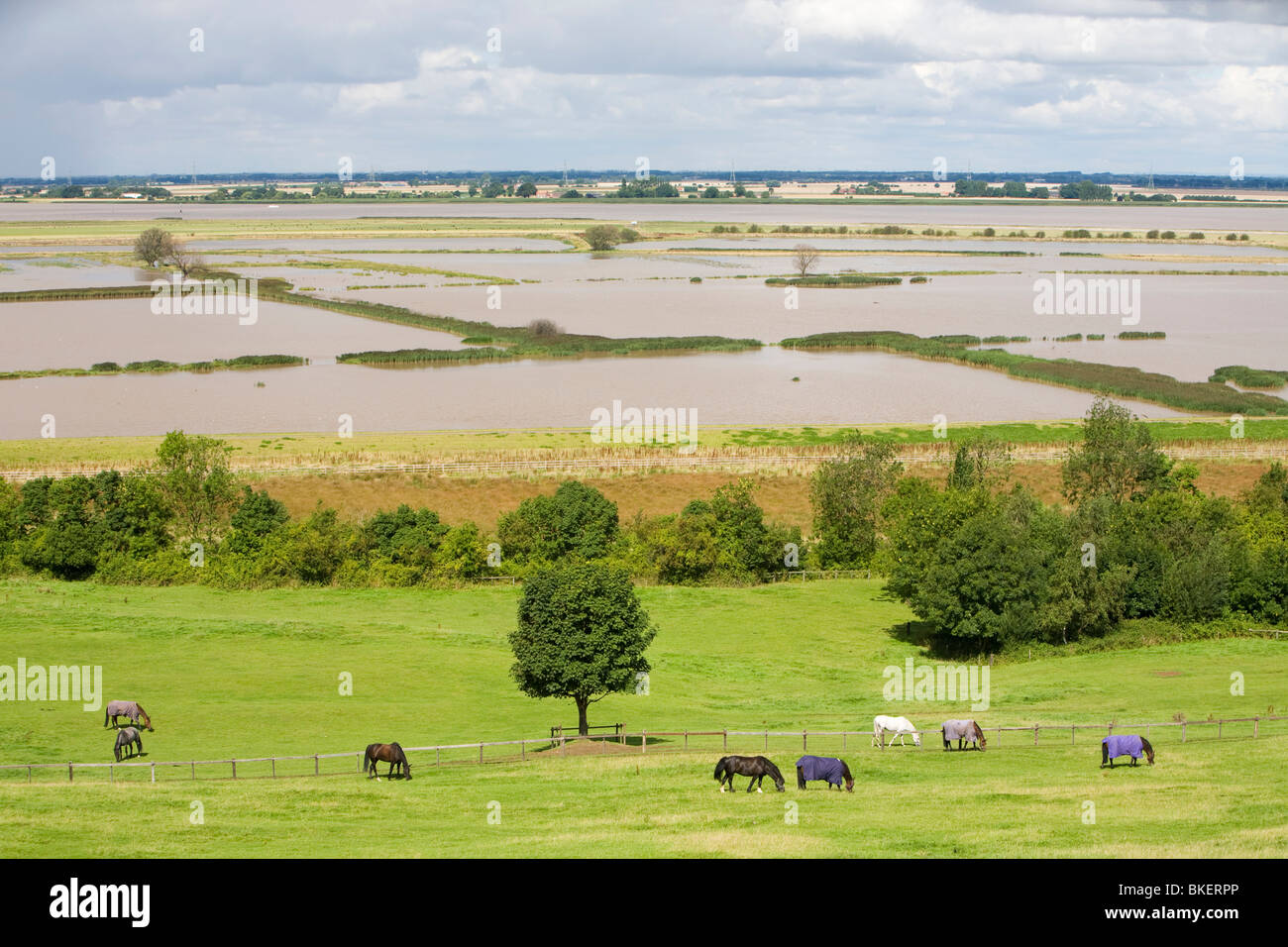 Humber estuary flooding hi-res stock photography and images - Alamy