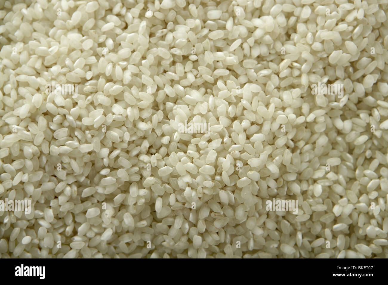 White rice close up texture. Background pattern of rice seeds from ...
