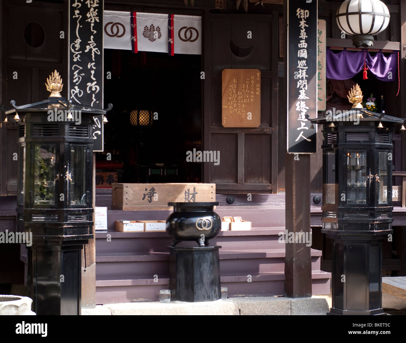 Alter hase hi-res stock photography and images - Alamy