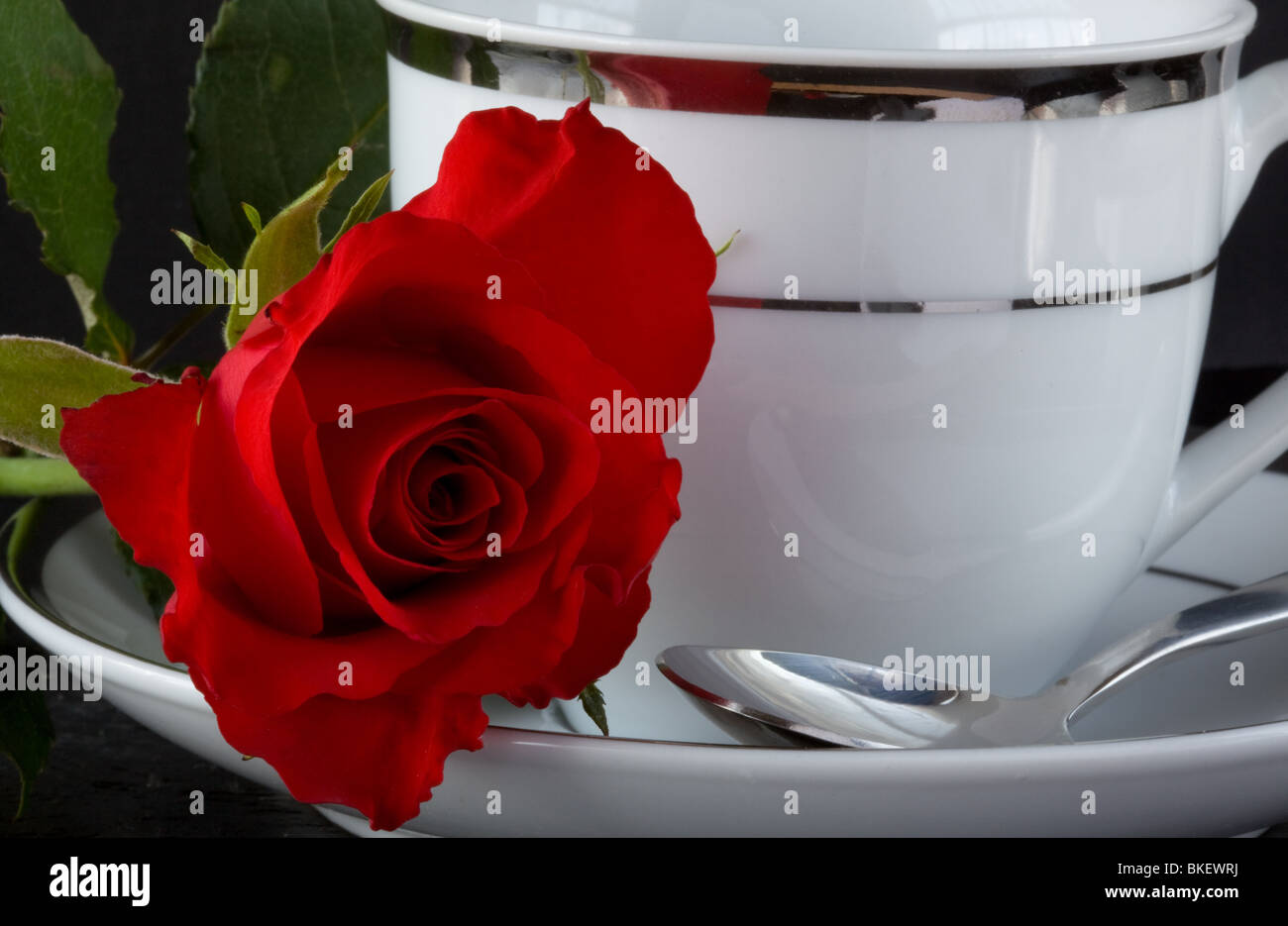 Red rose on a coffee cup Stock Photo - Alamy