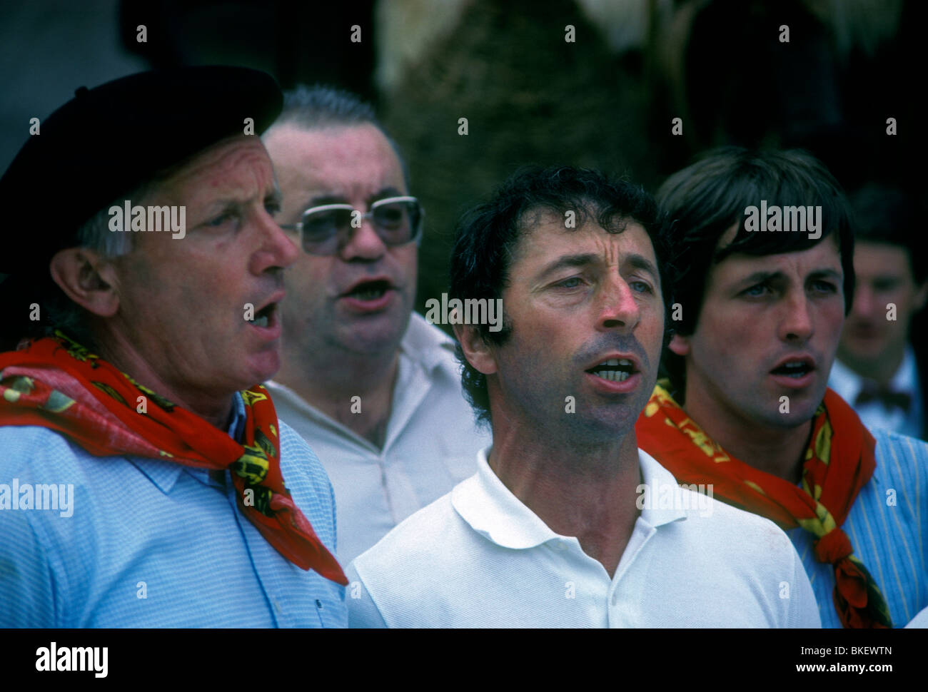 French Basque, adult men, men, singers, singing, Noce Basque, French ...