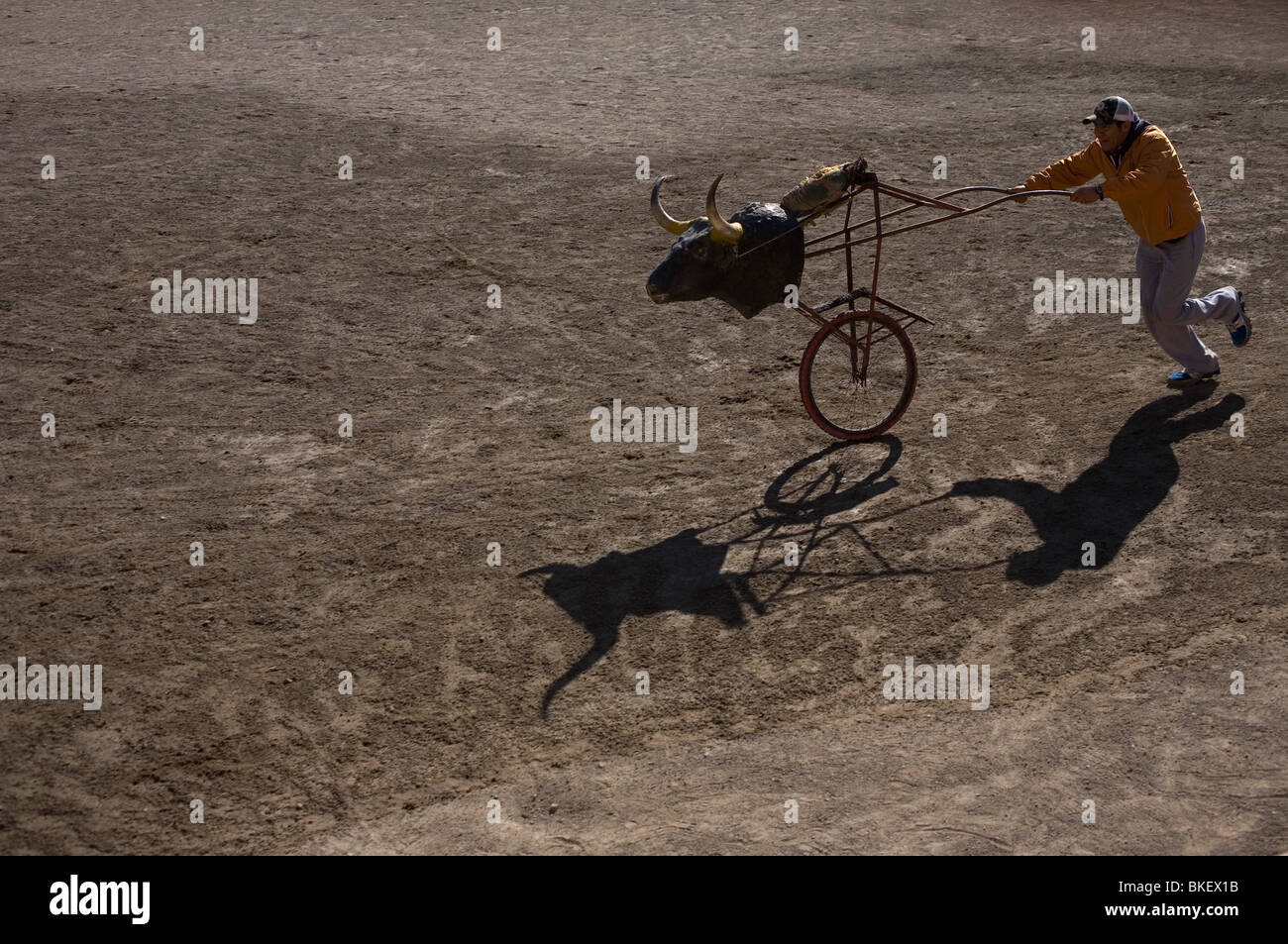 A bullfighter pushes a stuffed bull's head mounted on a bicycle wheel ...