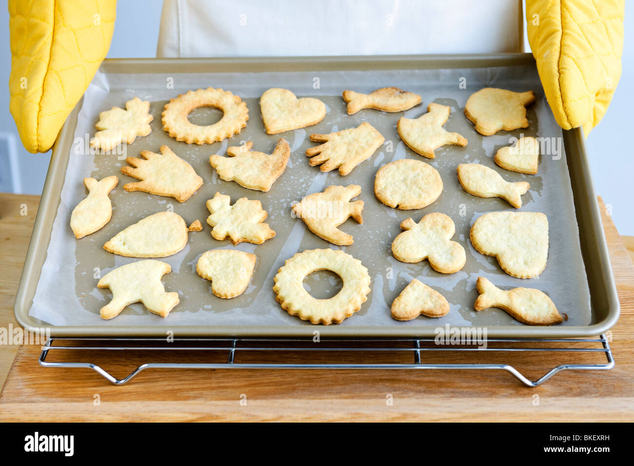 Chef holding cookie tray with fresh baked homemade shortbread cookies ...