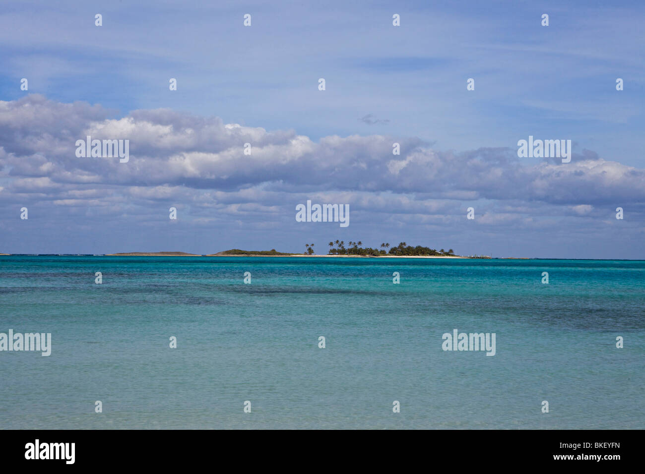Green turtle cay abaco bahamas hi-res stock photography and images - Alamy