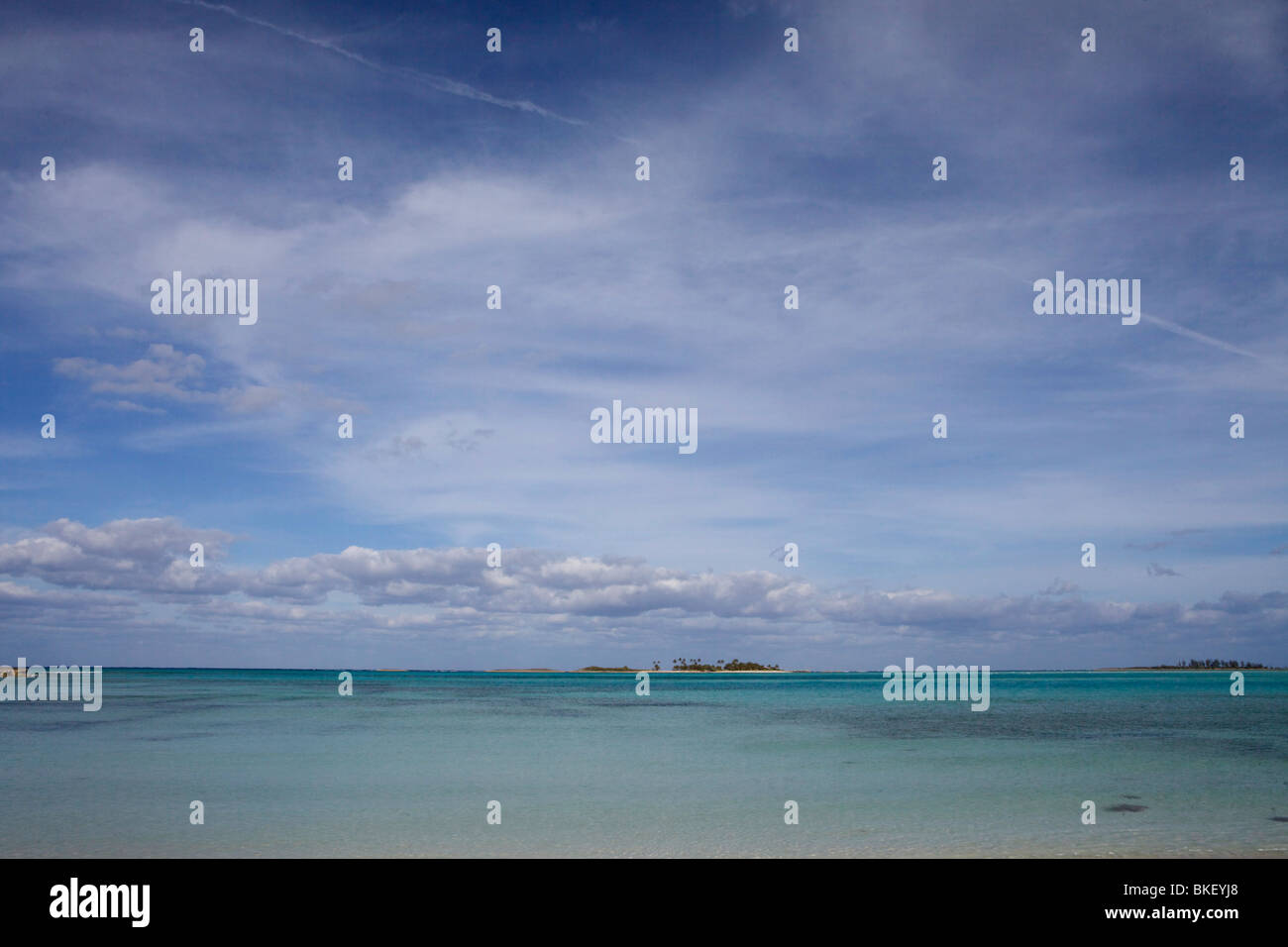 Green turtle cay abaco bahamas hi-res stock photography and images - Alamy