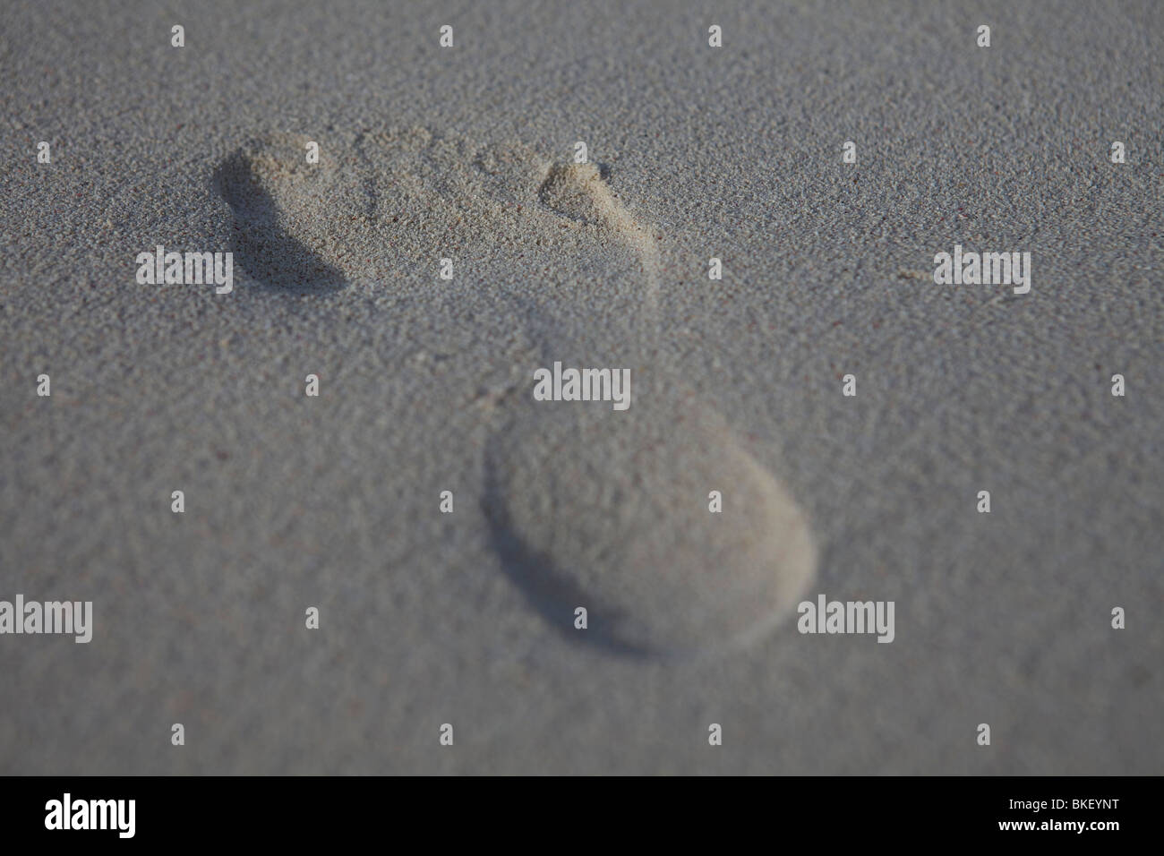 A single, perfect footprint in the sand on a tropical beach Stock Photo ...