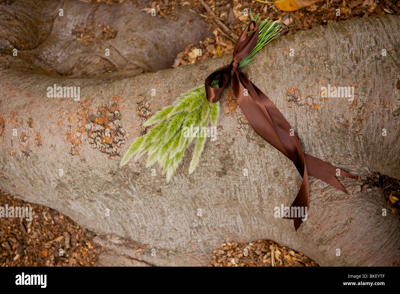 wildflower, bouquet, tree bark, natural, green wedding Stock Photo - Alamy