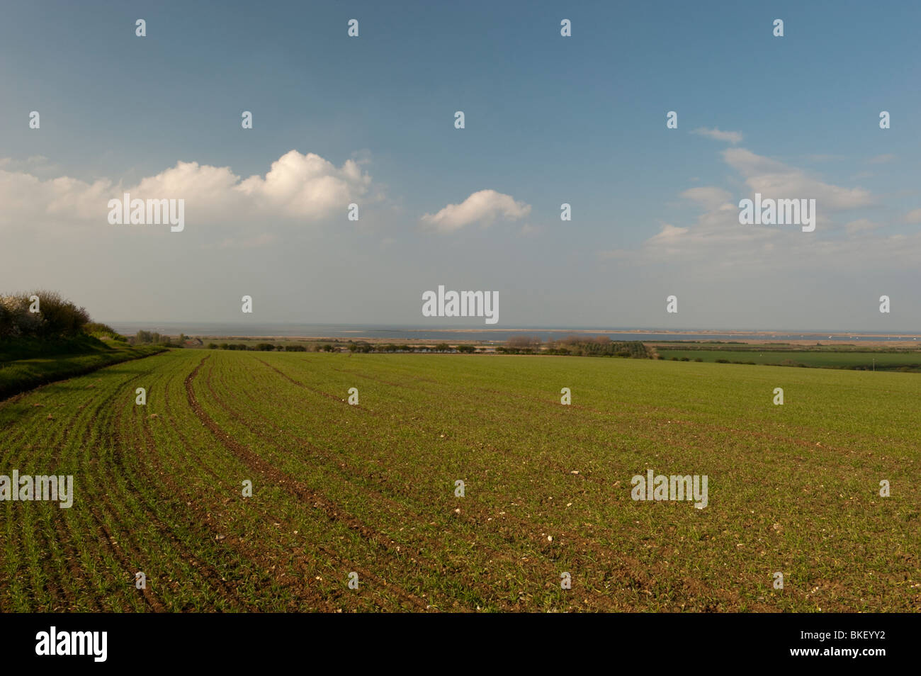 North norfolk coast landscape hi-res stock photography and images - Alamy