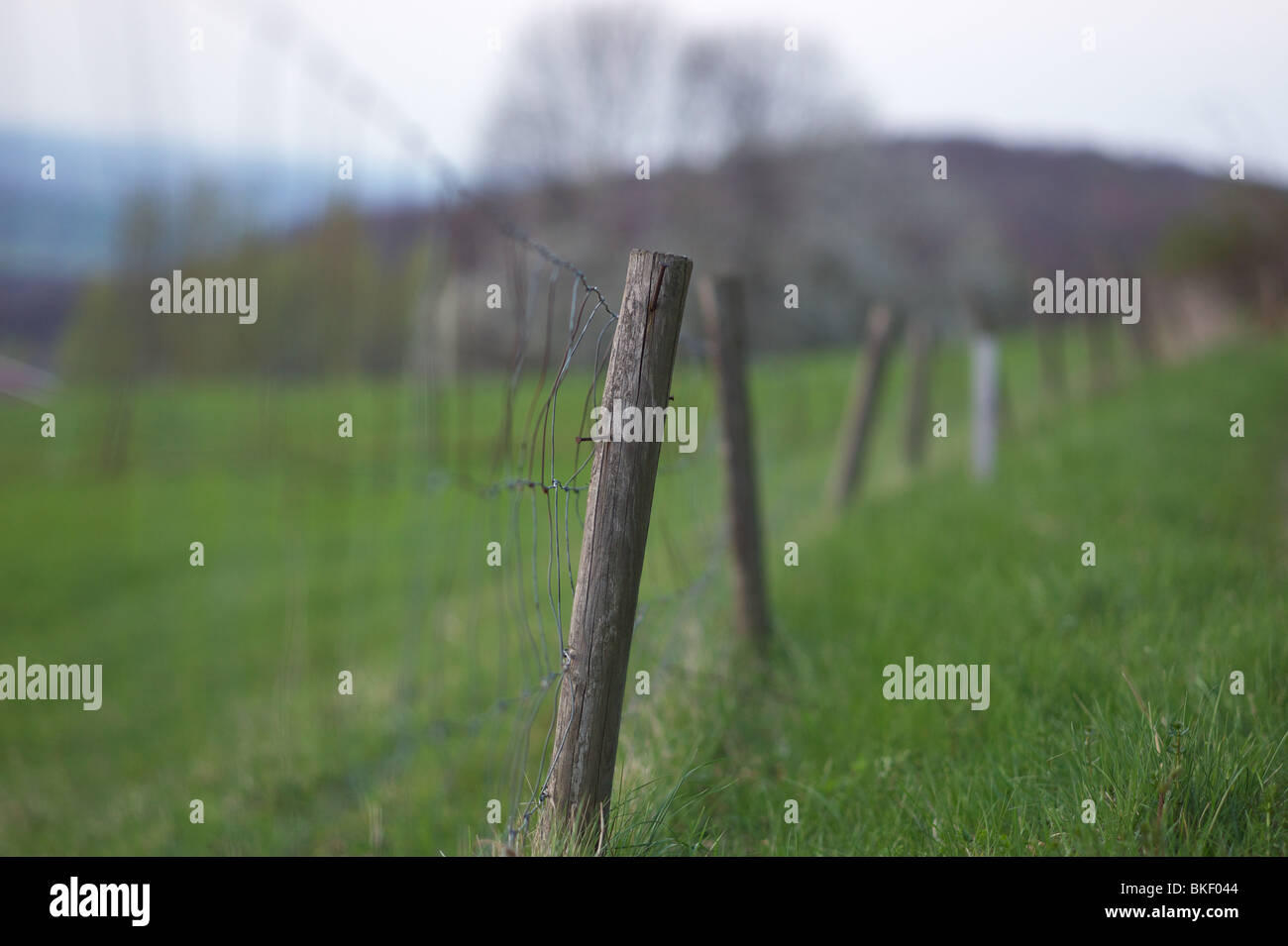 Few depth of field and a fence Stock Photo - Alamy