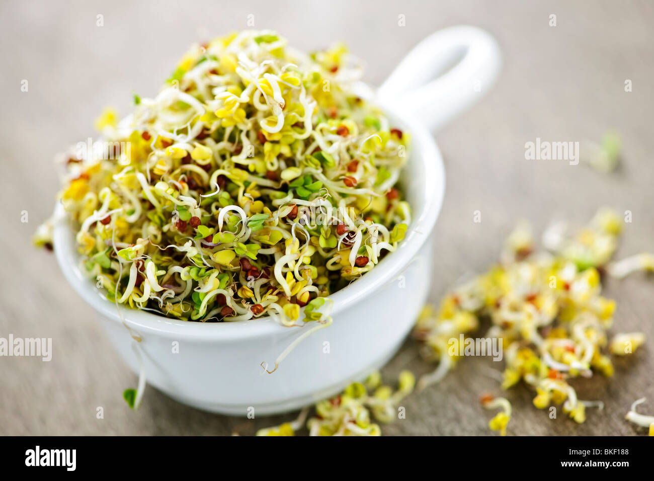 Organic young alfalfa sprouts in a cup Stock Photo - Alamy
