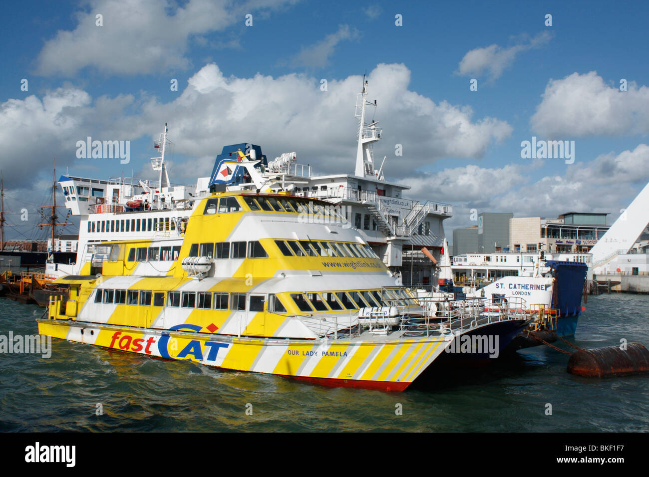 Fast cat hi-res stock photography and images - Alamy