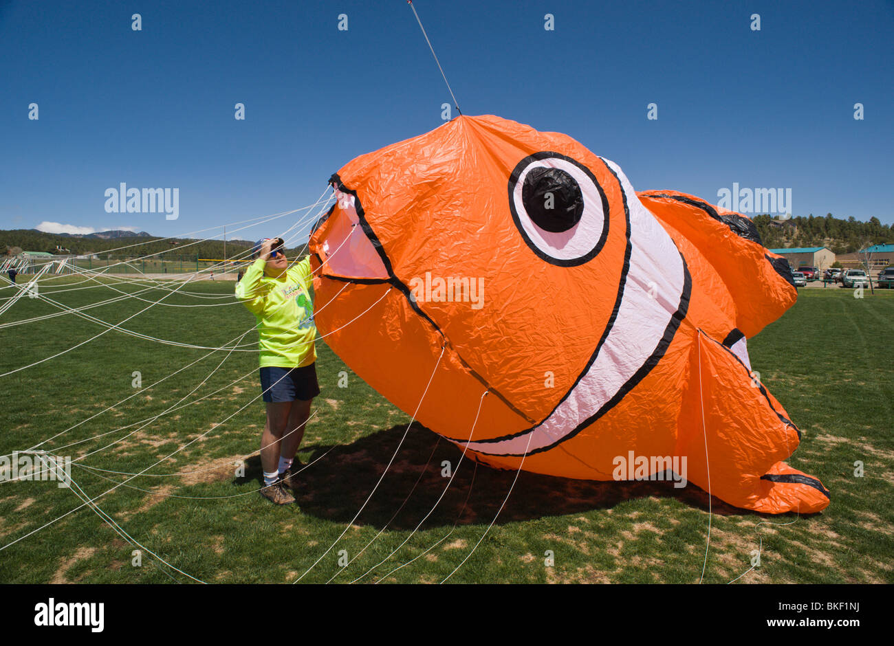 Pull pulling hold holding kite hi-res stock photography and images - Alamy