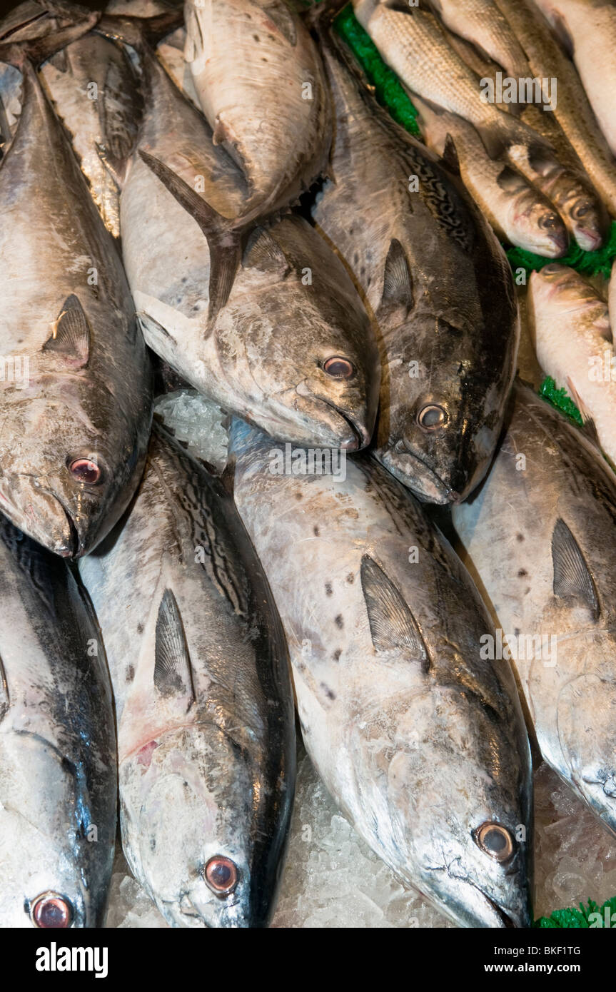 Fish on ice displayed at the fish market Stock Photo - Alamy