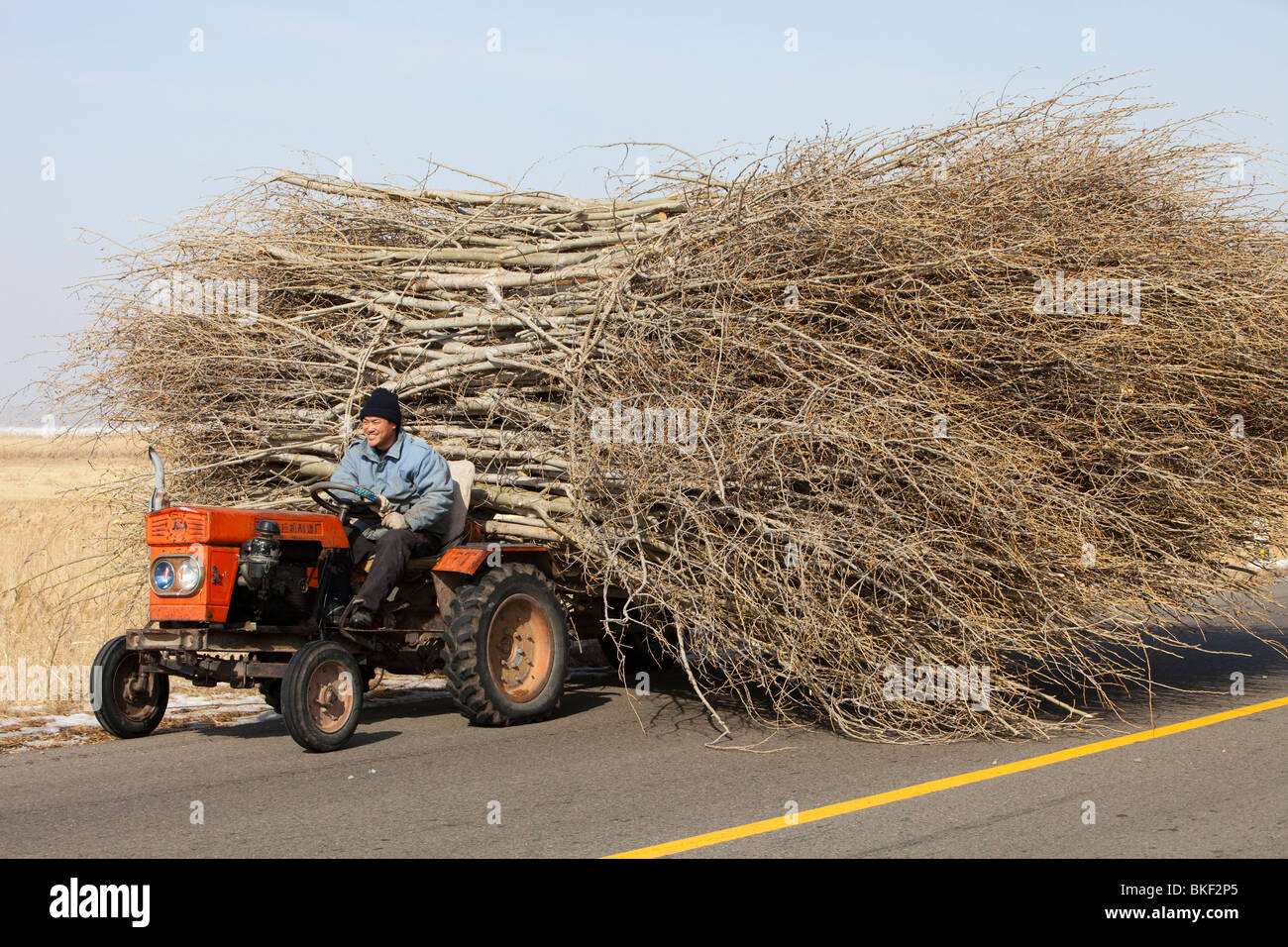 Chinese farmers haul a huge wide load of wood using a tiny tractor in ...