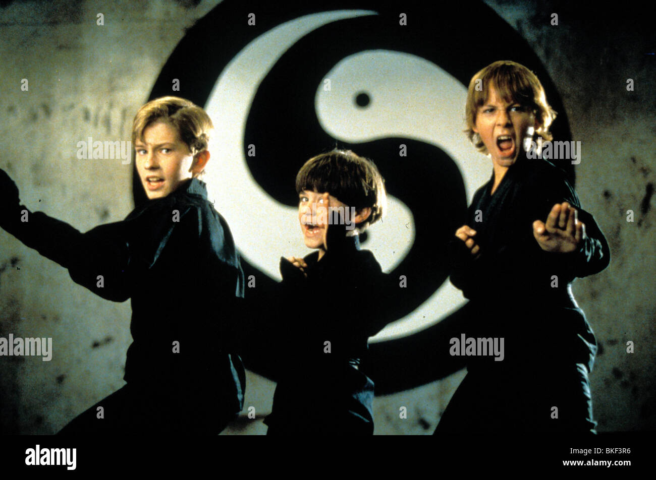 THREE NINJAS (1993) MICHAEL TREANOR, CHAD POWER, MAX ELLIOTT SLADE TNJA ...