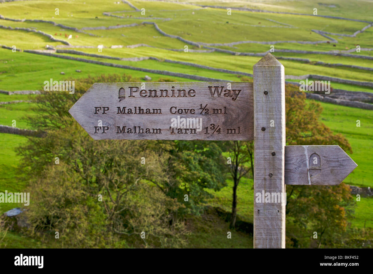 Signost along the Pennine Way pointing to Malham Cove and Malham Tarn ...