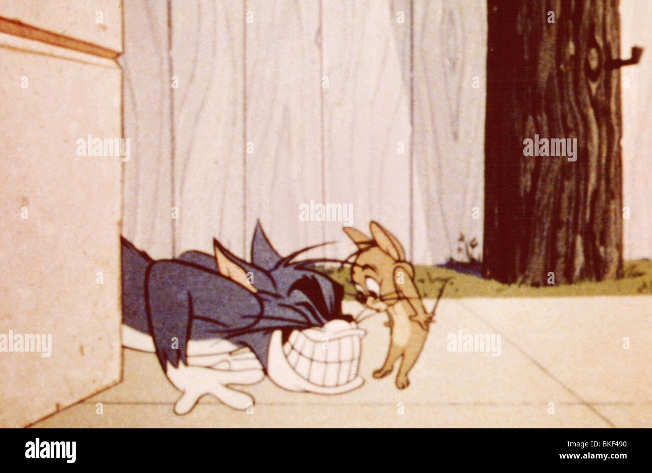 TOM AND JERRY (ANI) (TV) CREDIT HANNA BARBERA TJRY 014 Stock Photo - Alamy
