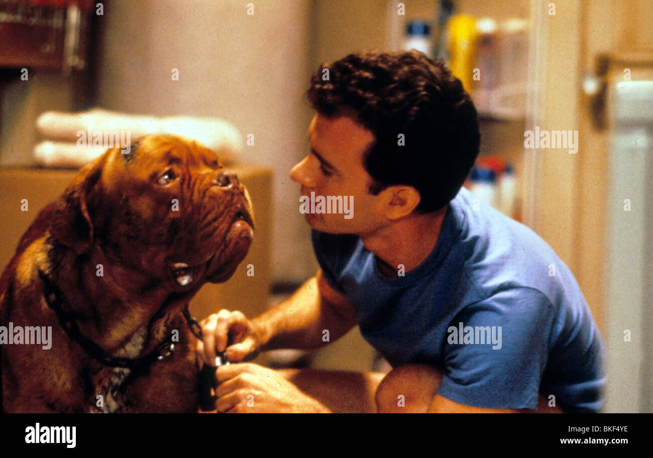 TURNER AND HOOCH (1989) TOM HANKS TRH 004 H Stock Photo - Alamy