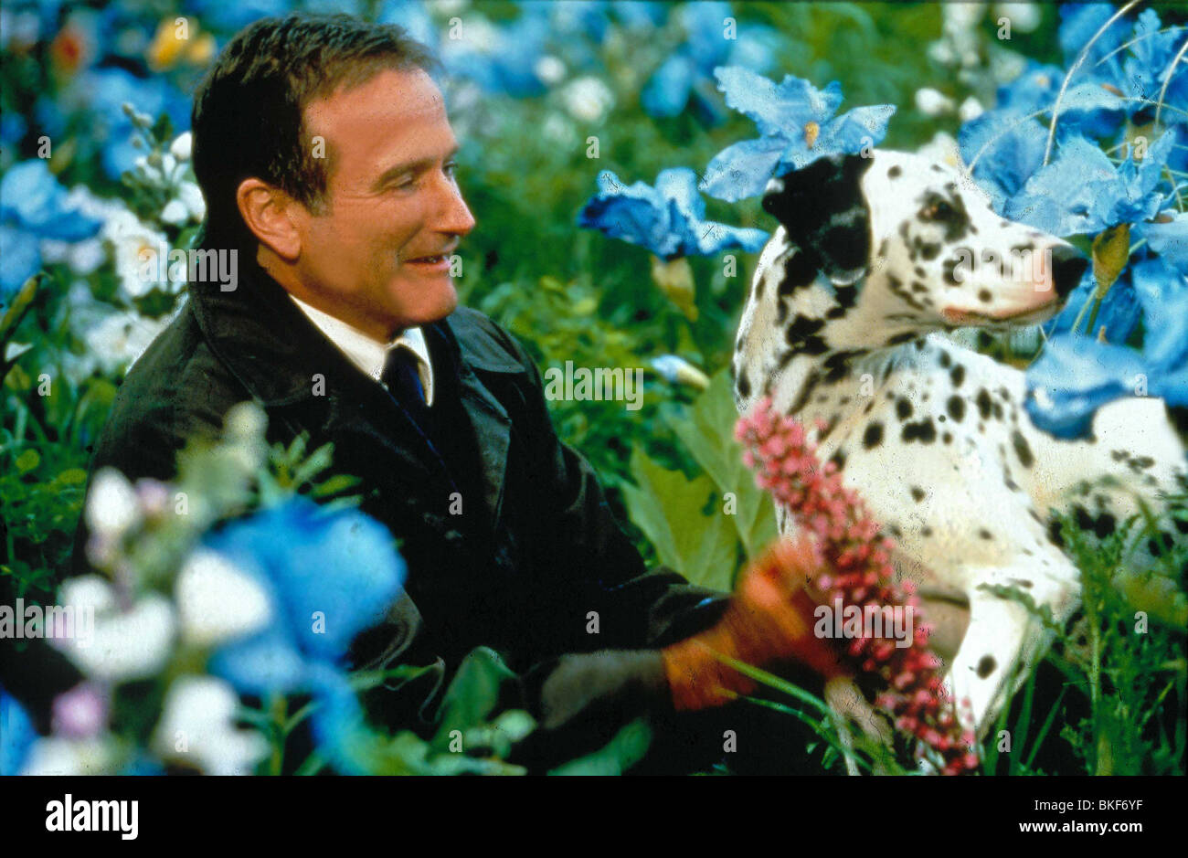 What dreams may come hi-res stock photography and images - Alamy