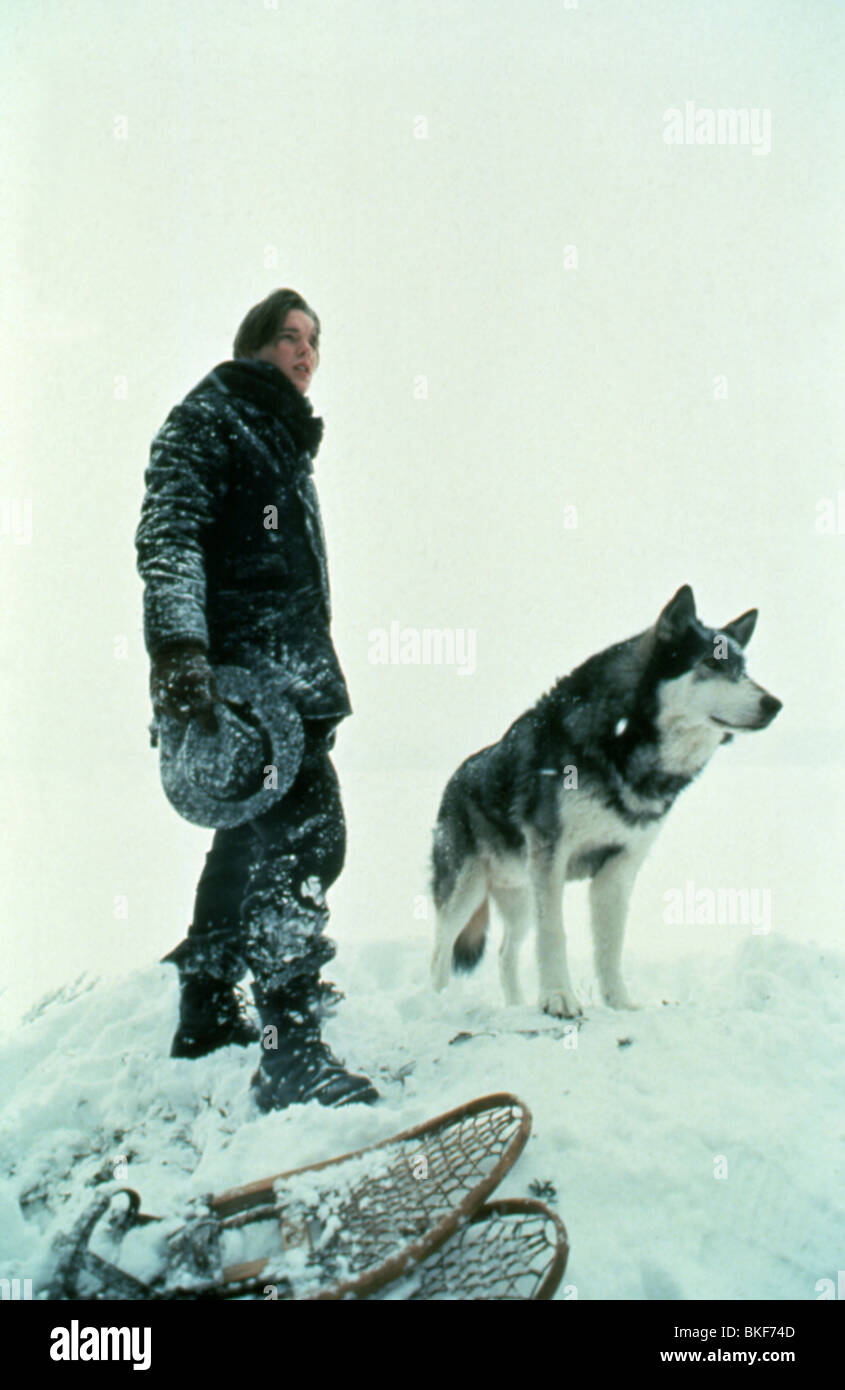 Ethan Hawke White Fang