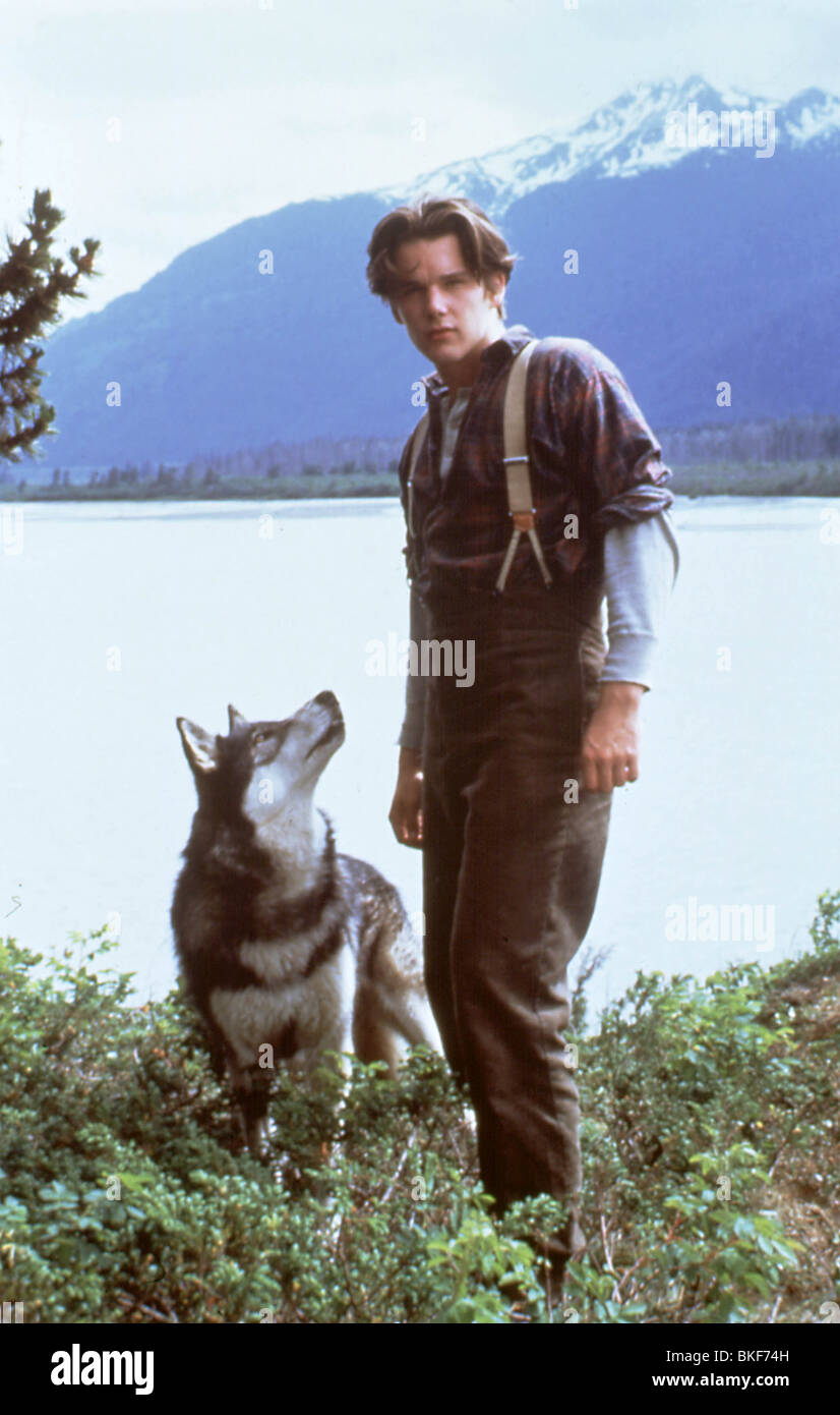 White fang movie hi-res stock photography and images - Alamy