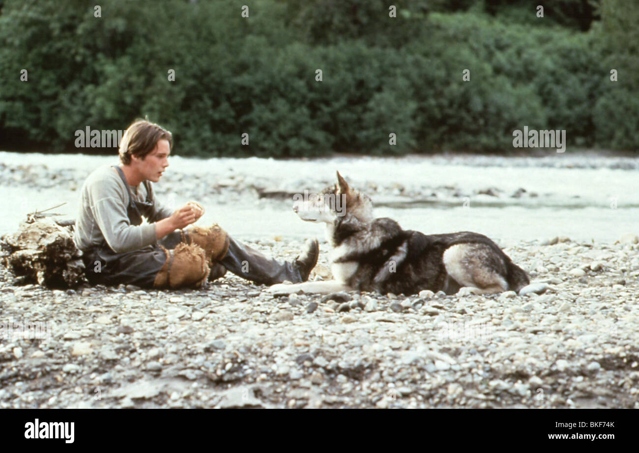White Fang Movie High Resolution Stock Photography and Images - Alamy