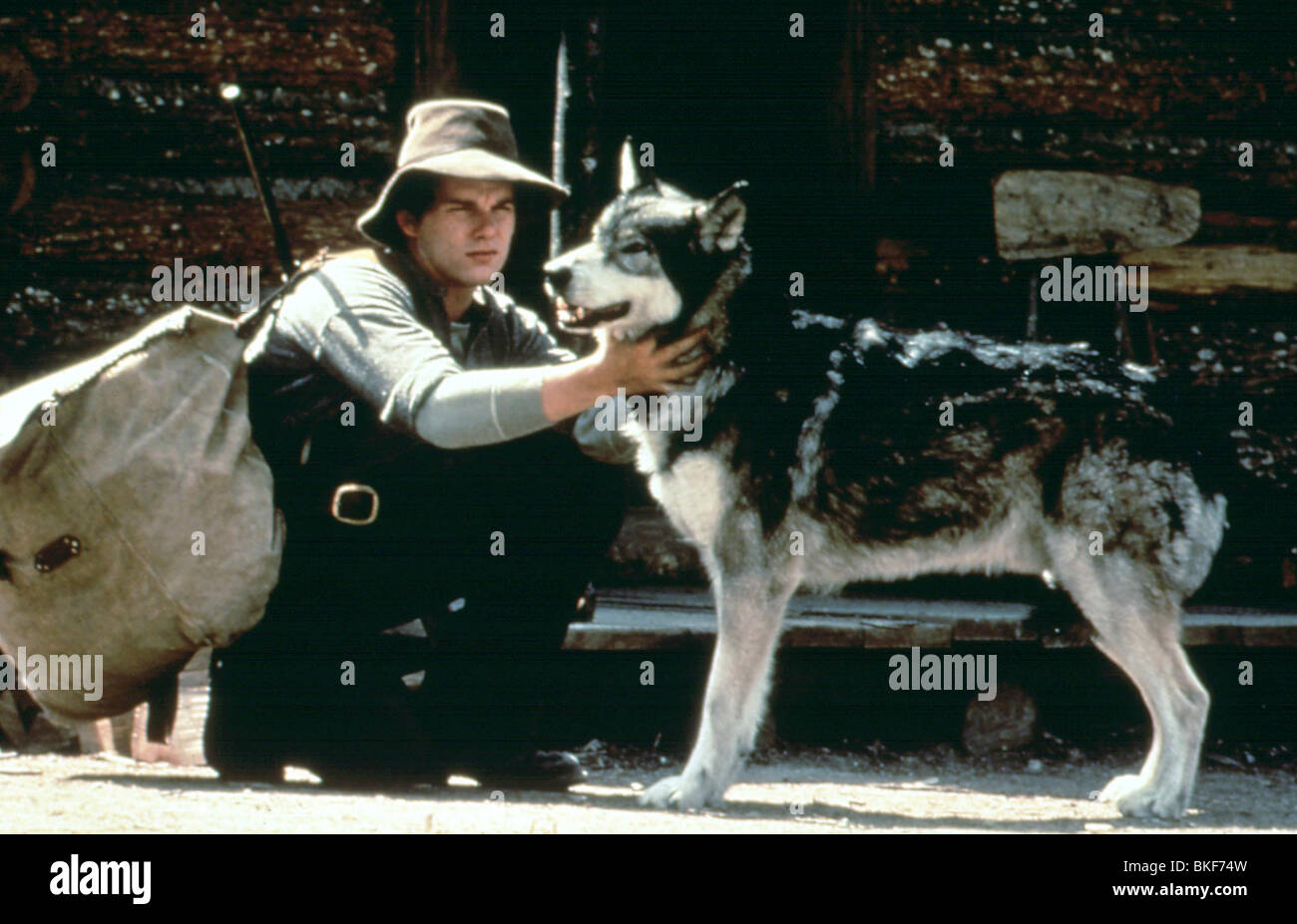 White fang 1990 ethan hawke hi-res stock photography and images - Alamy