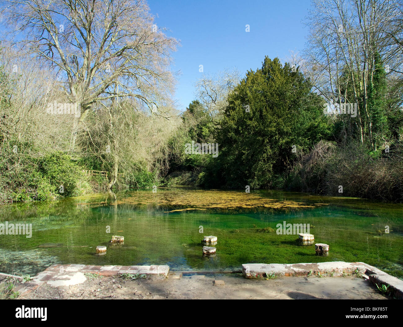 The Silent Pool near Newlands Corner on the North Downs in Surrey Stock ...