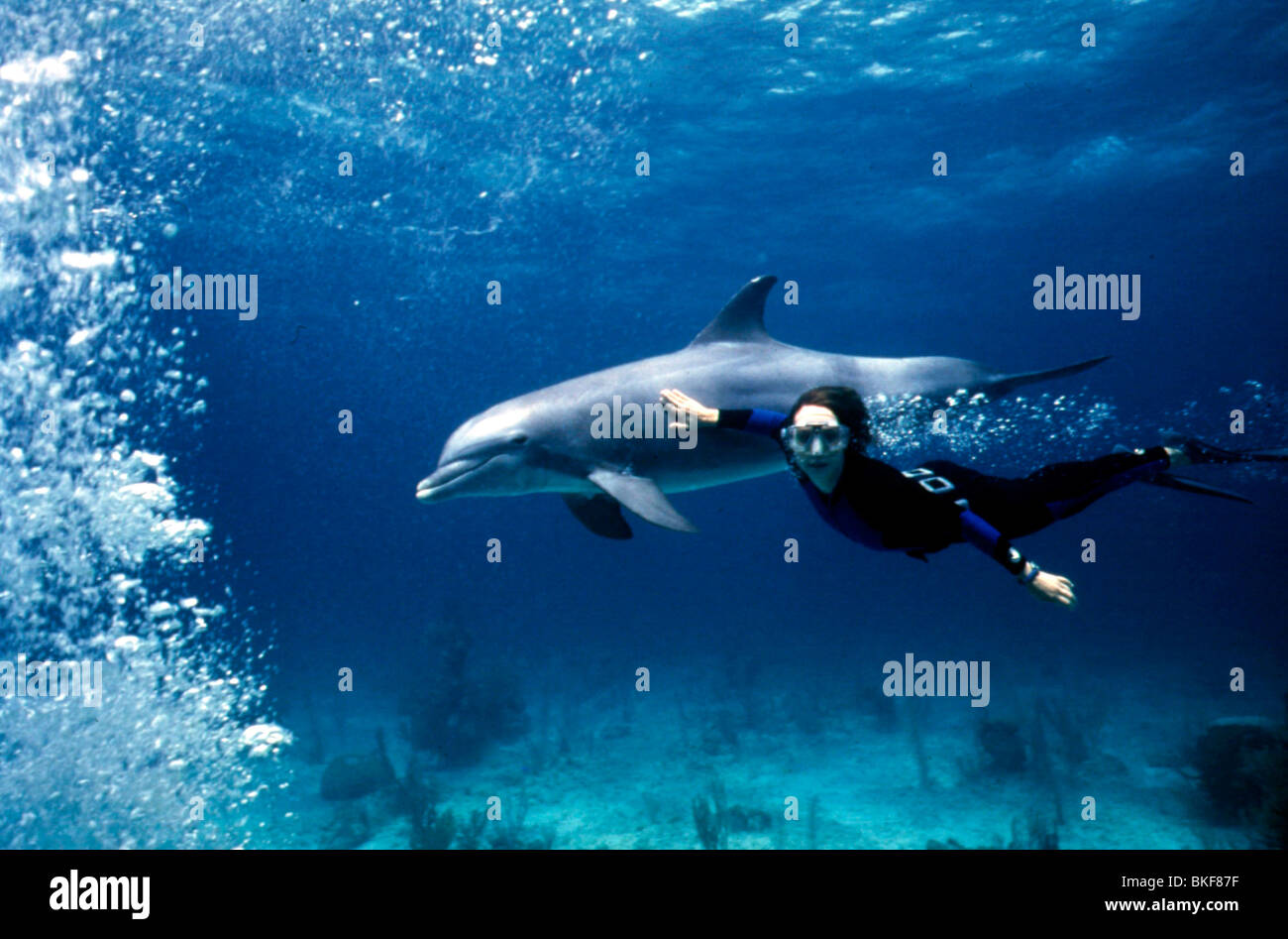 ZEUS AND ROXANNE -1996 Stock Photo - Alamy