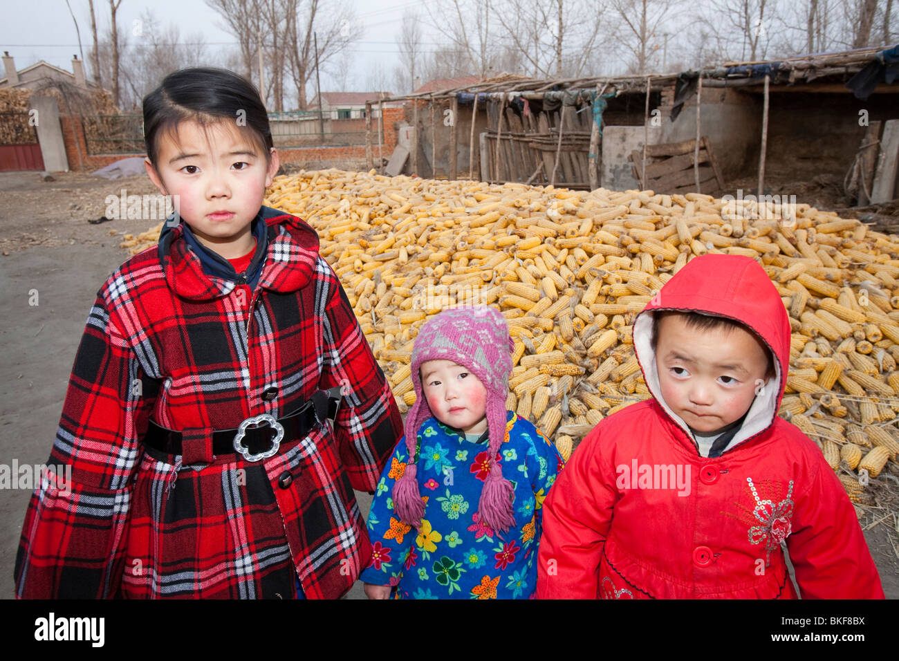Chinese farmer girl High Resolution Stock Photography and Images - Alamy