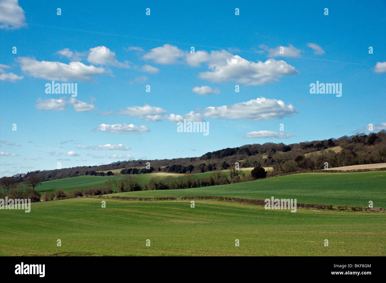 Guildford grass hi-res stock photography and images - Alamy