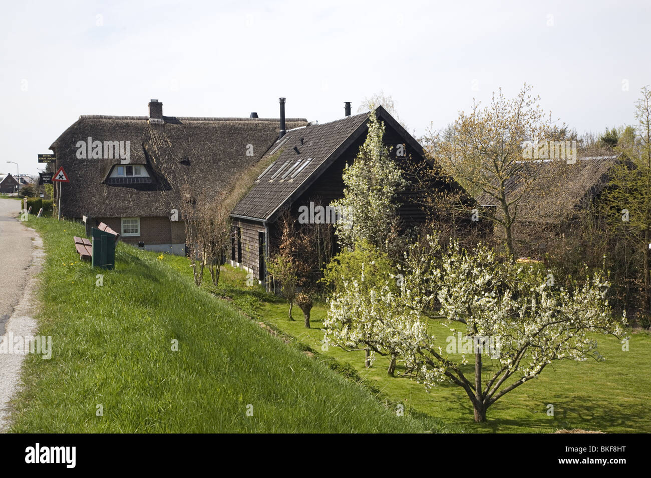 Old farm house along the dike of the river Meuse in Wellseind ...
