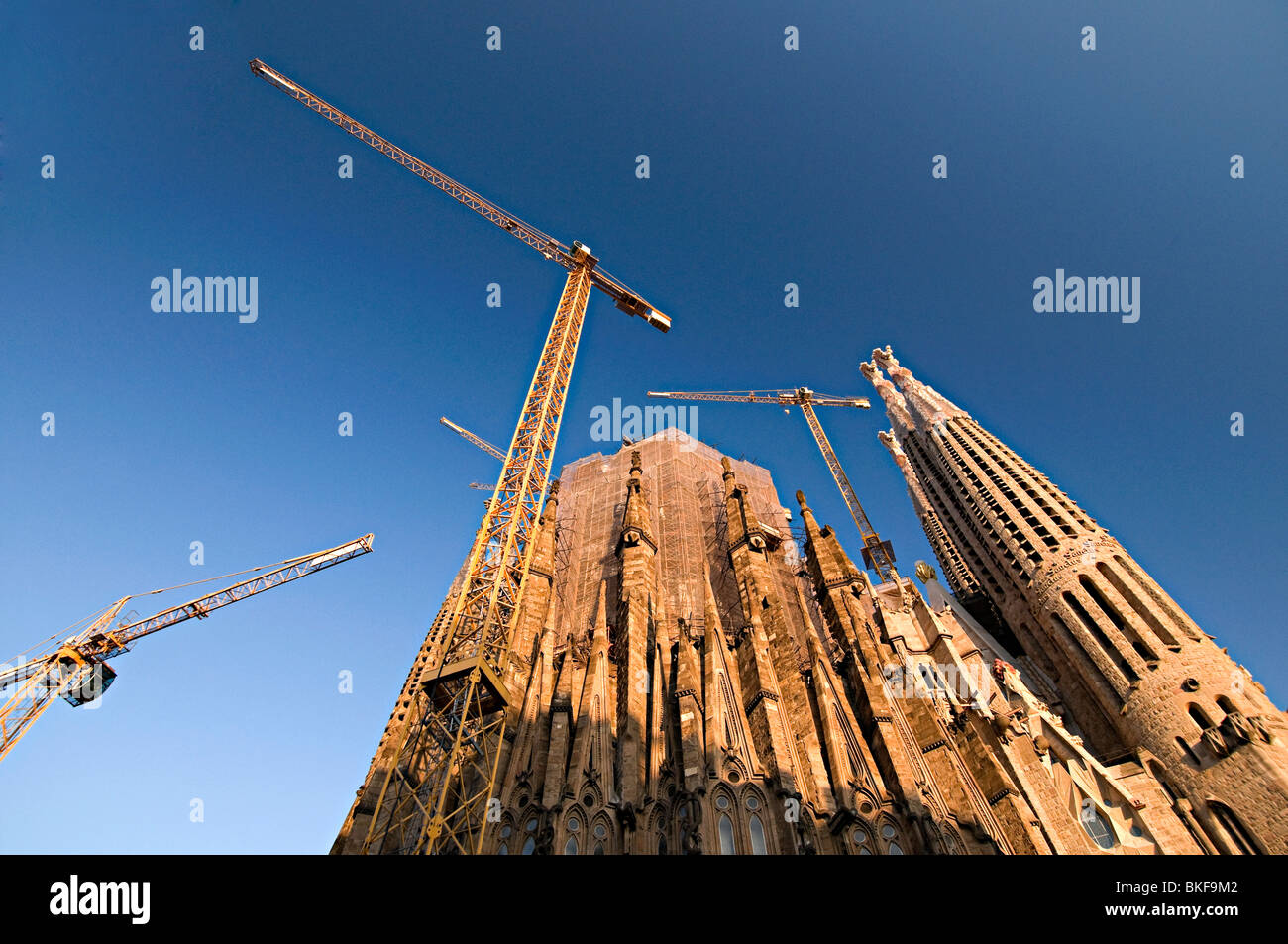 sagrada familia gaudi barcelona church which is still incomplete Stock ...