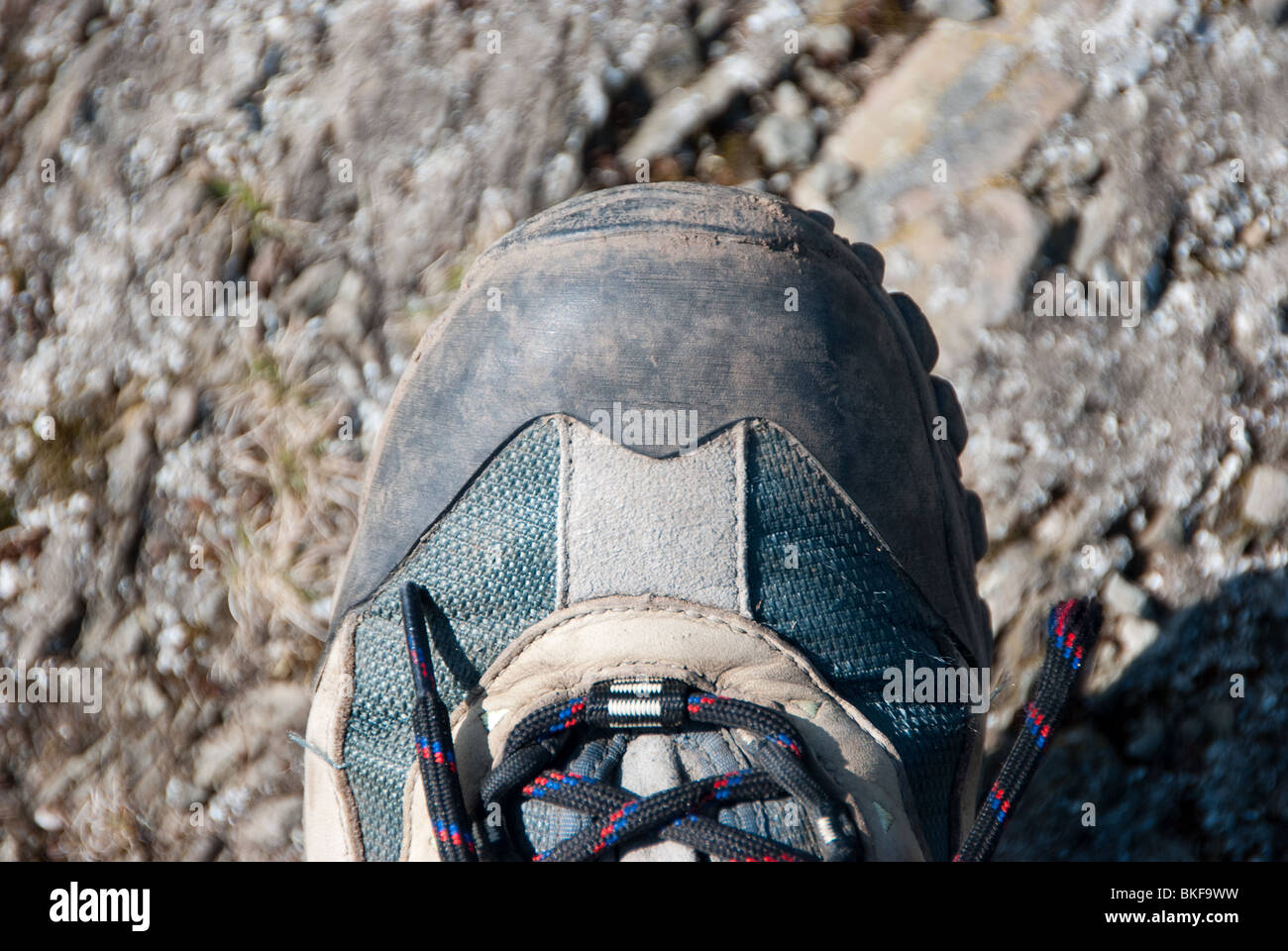 Close up of walking shoe Stock Photo - Alamy